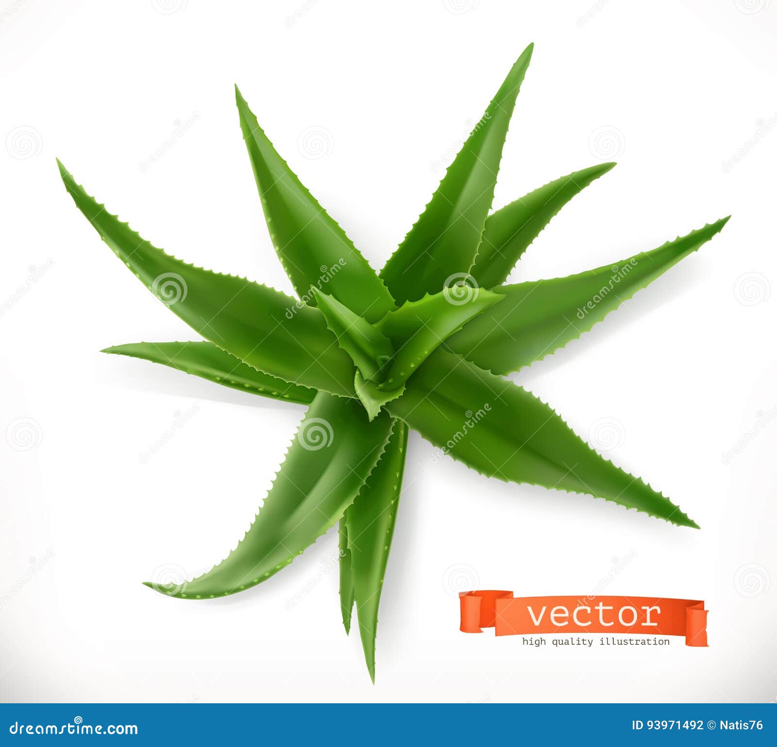 Aloe Vera. Medicinal Plant, Vector Icon Stock Vector - Illustration of ...
