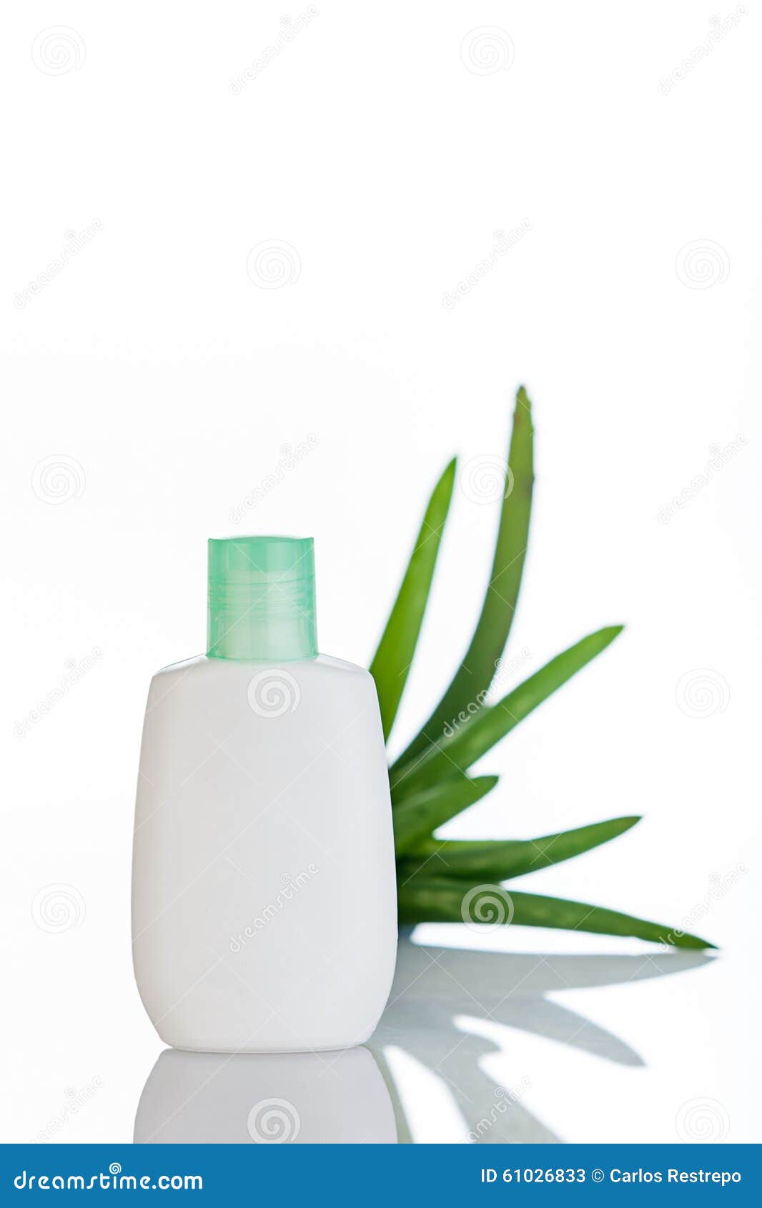 Aloe Vera moisturizer stock image. Image of isolated - 61026833