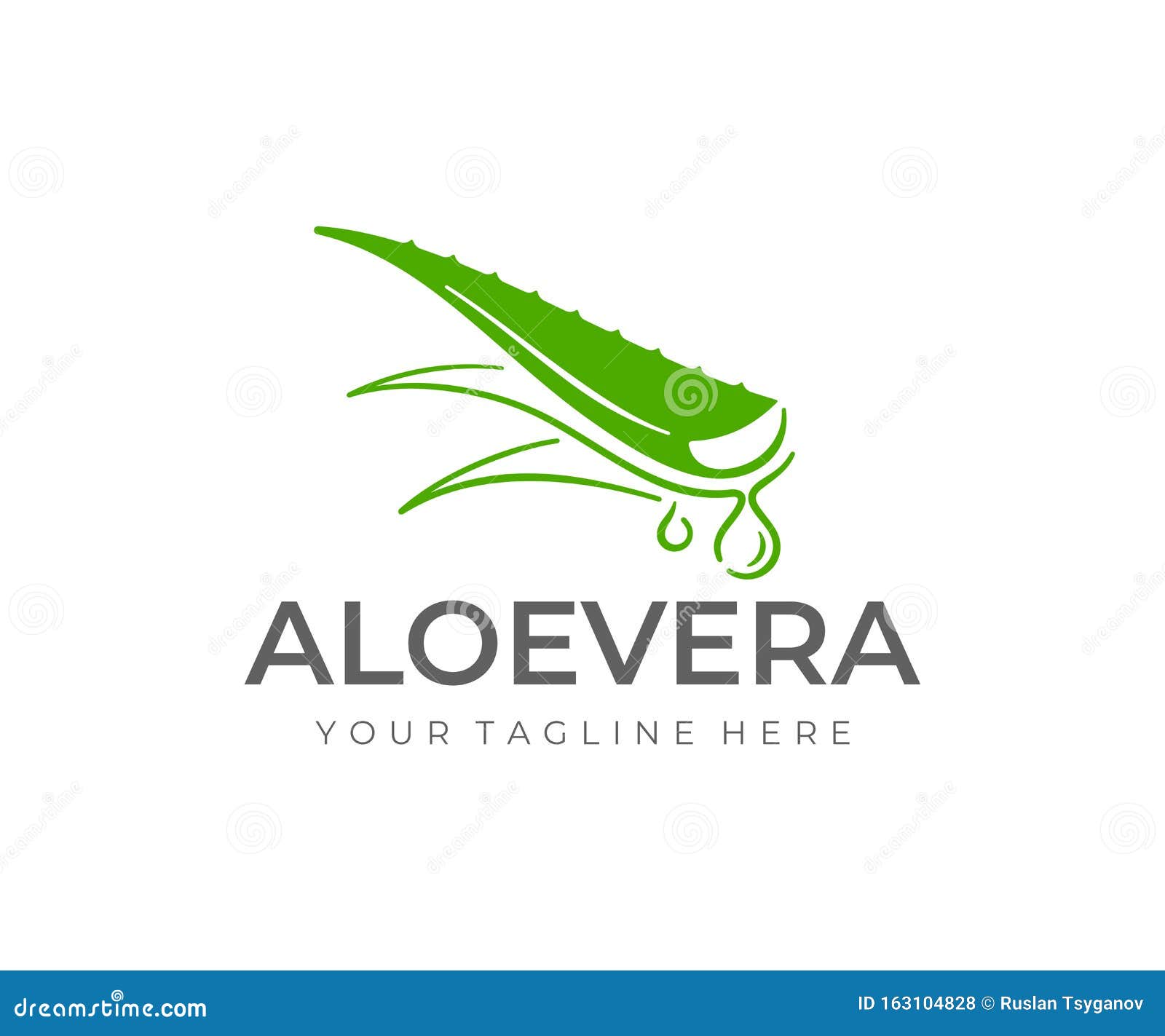 Aloe Vera Plant Logo Design. Herbaceous Plant and Drop Vector Design ...
