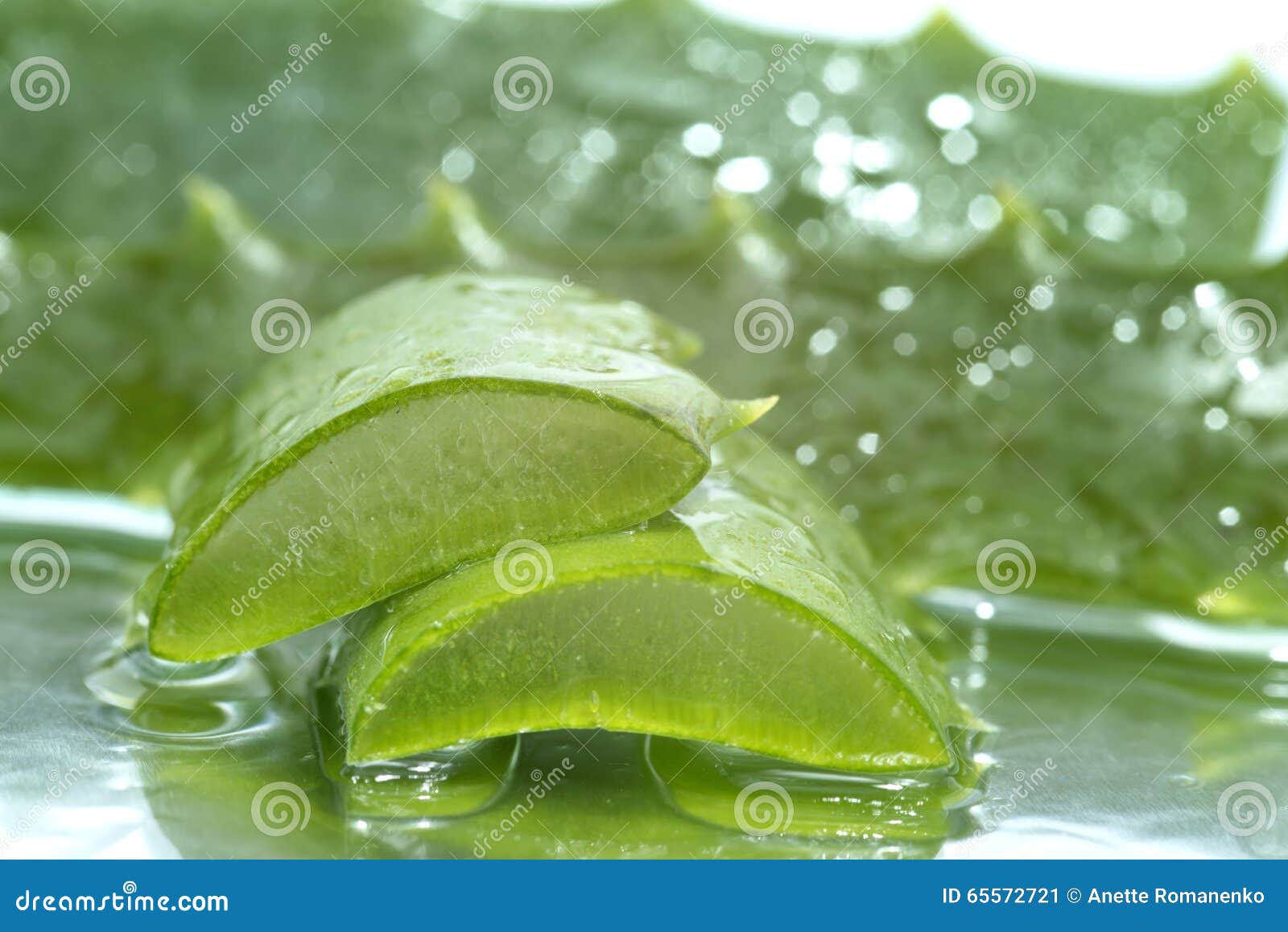 Aloe vera slices stock image. Image of flora, medicine - 65572721