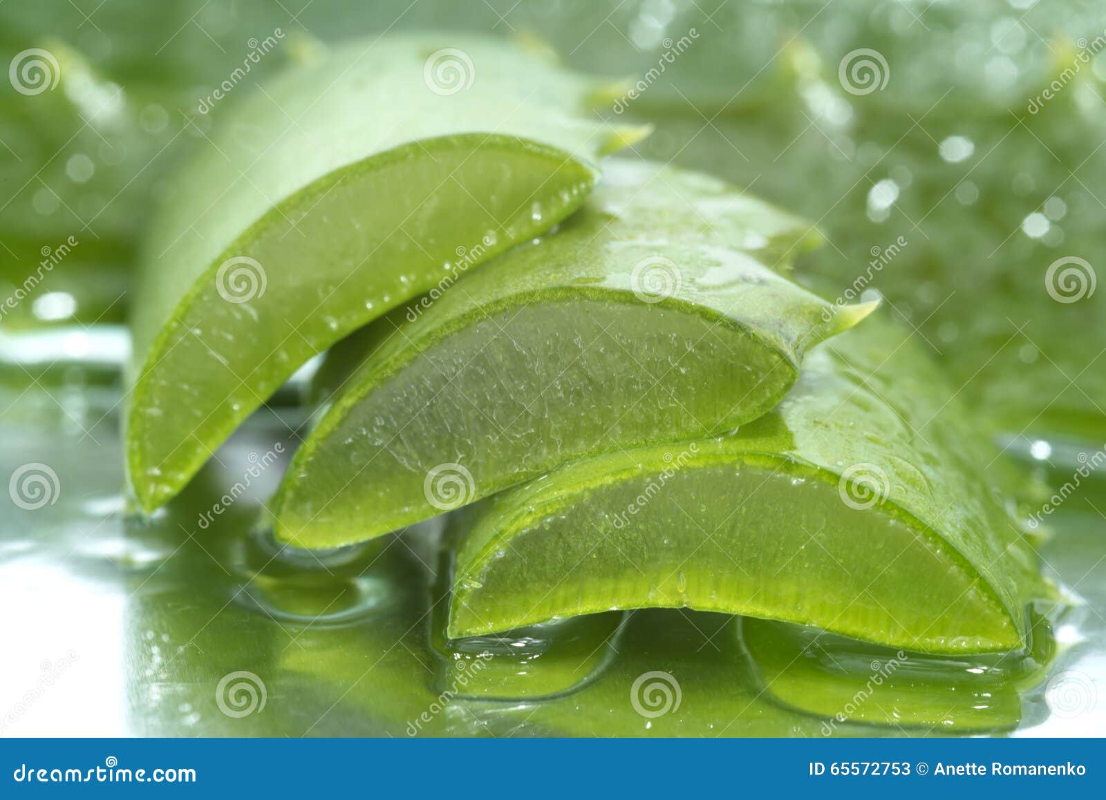Aloe vera slices stock image. Image of flora, horizontal - 65572753