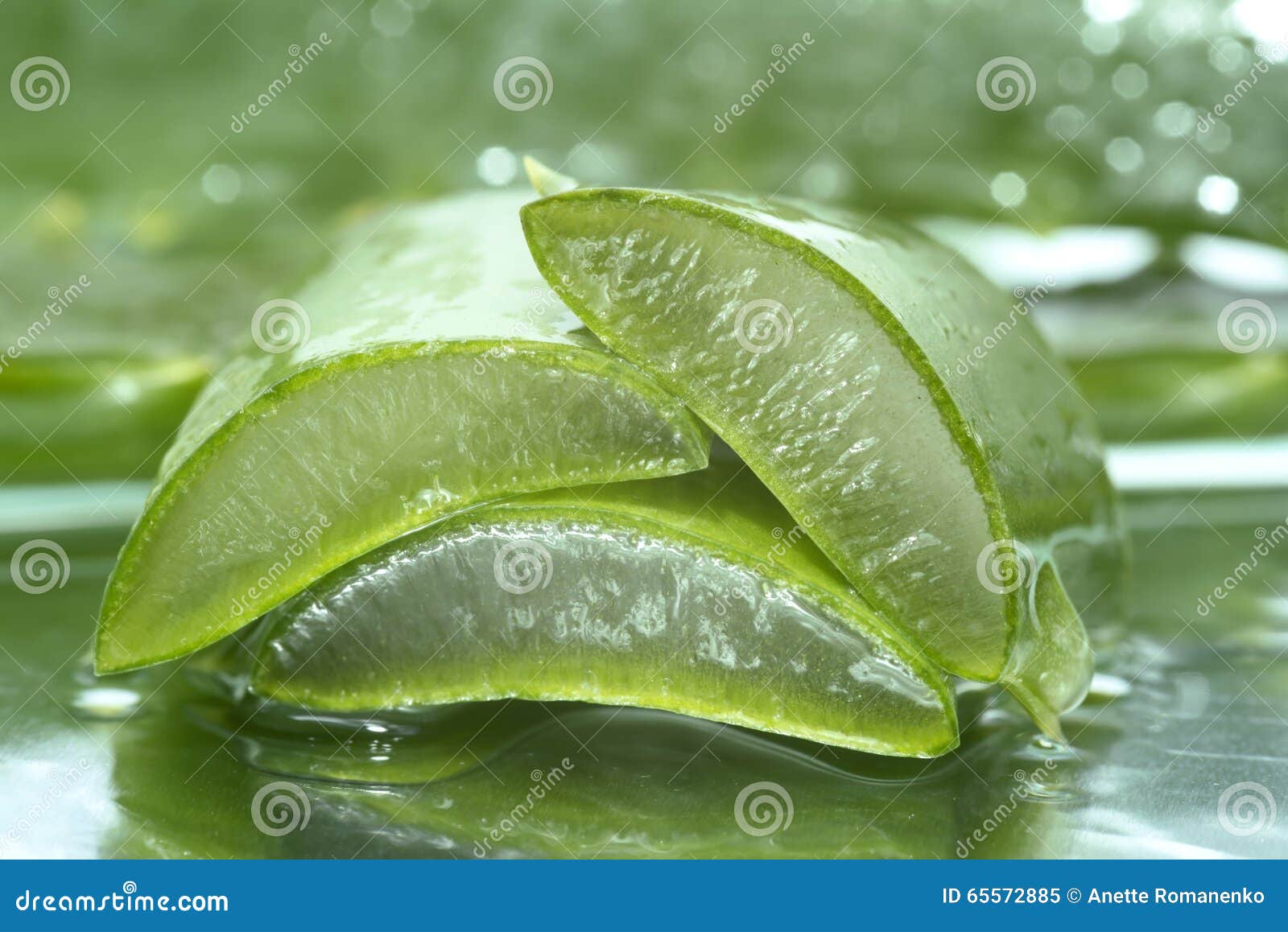 Aloe vera slices stock image. Image of herb, drop, leaf - 65572885