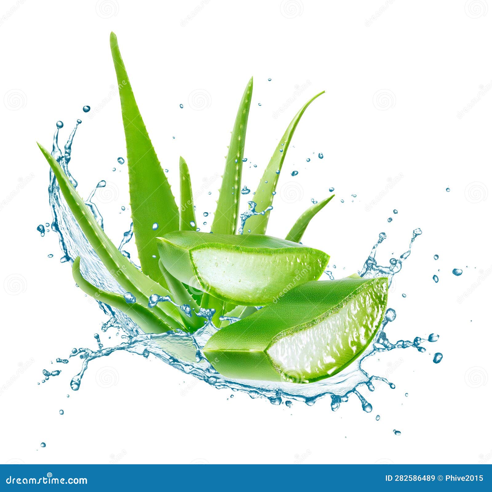 Aloe Vera Slices with Water Splash Stock Image - Image of fresh ...