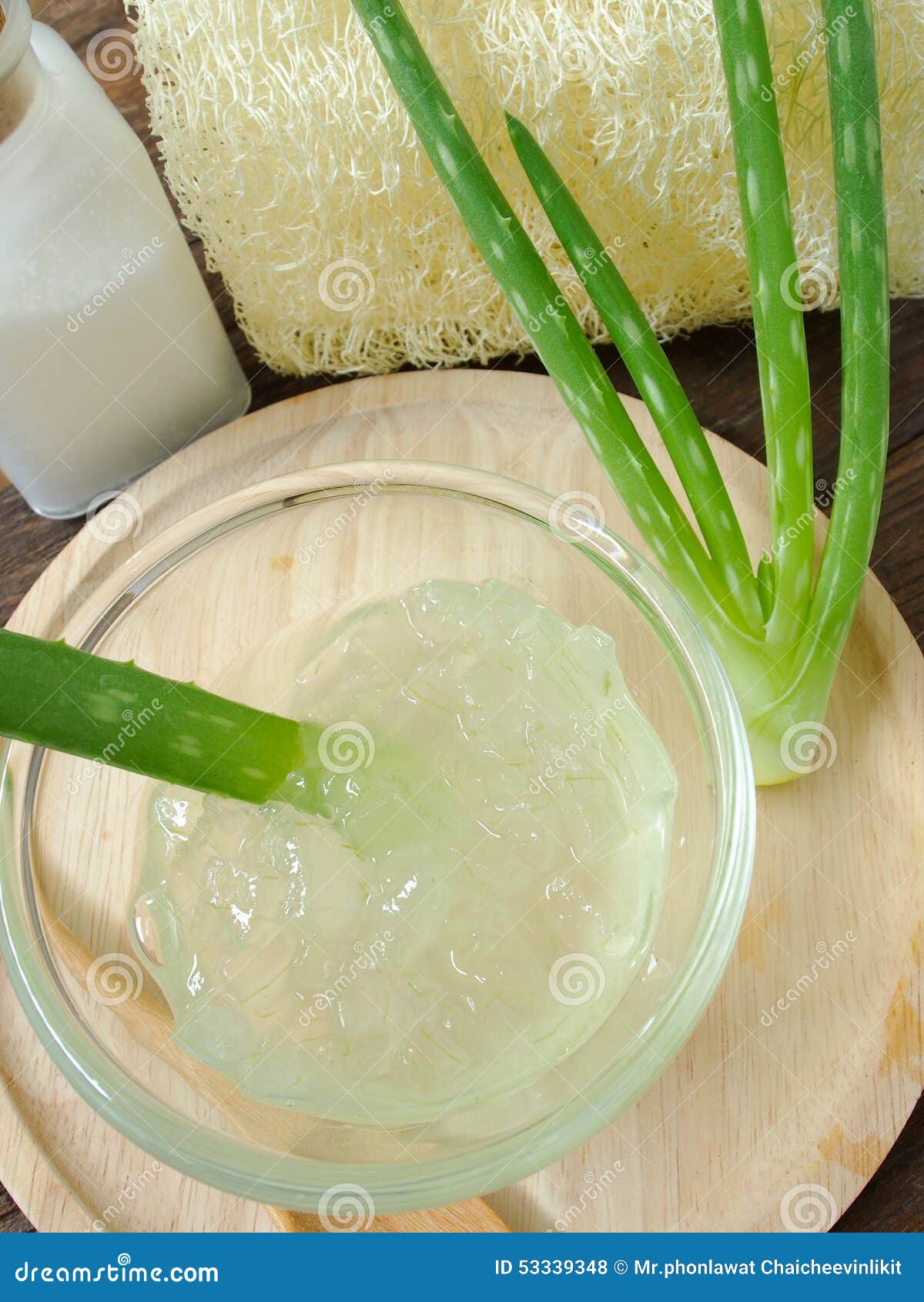 Aloe vera spa stock photo. Image of alternative, cream - 53339348