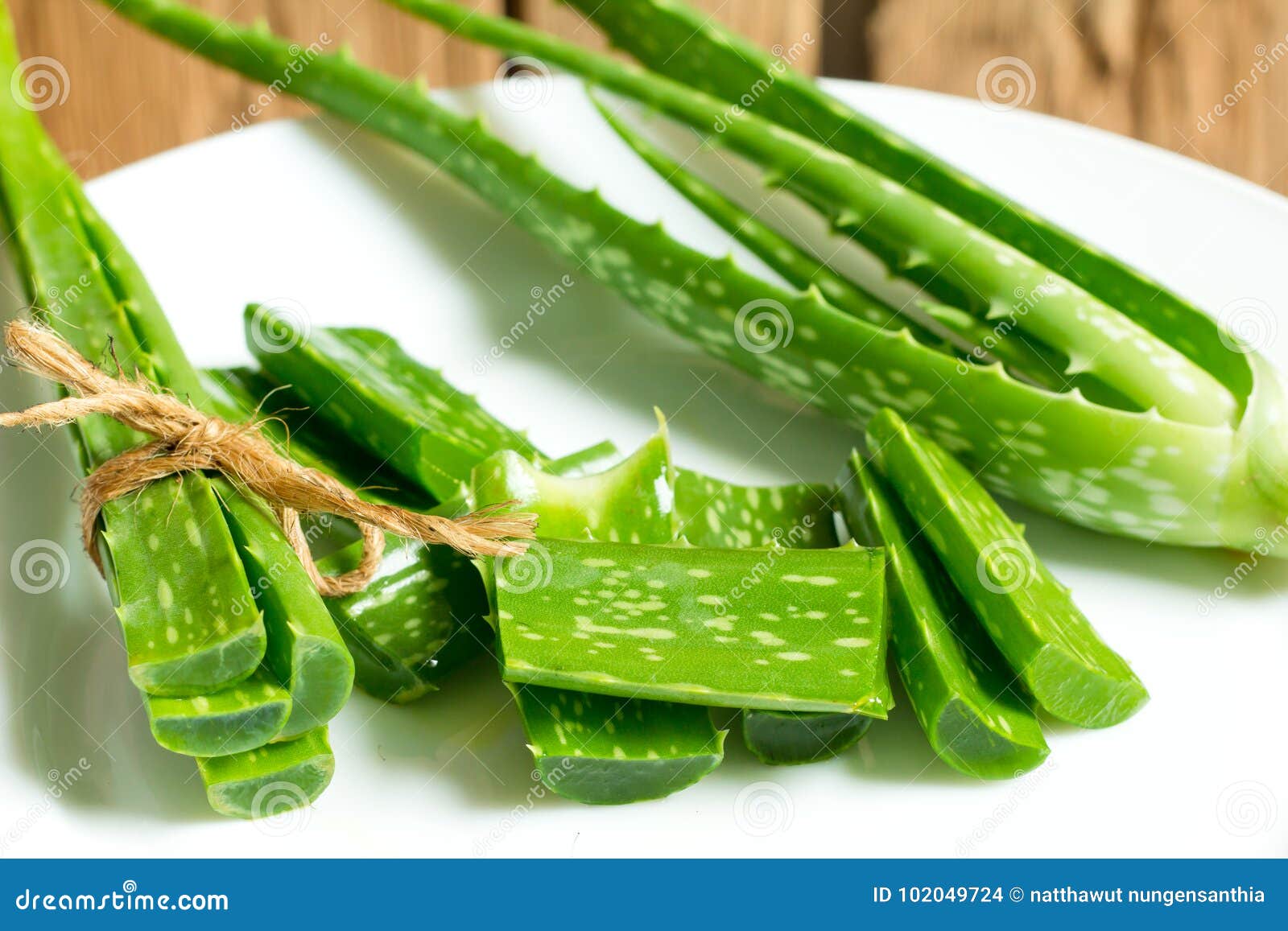 Aloe vera in white dish stock photo. Image of aloe, nature - 102049724