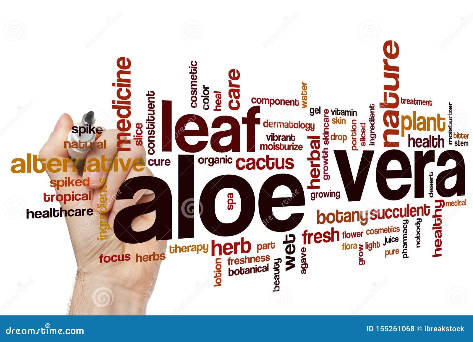Aloe vera word cloud stock photo. Image of beauty, botanical - 155261068