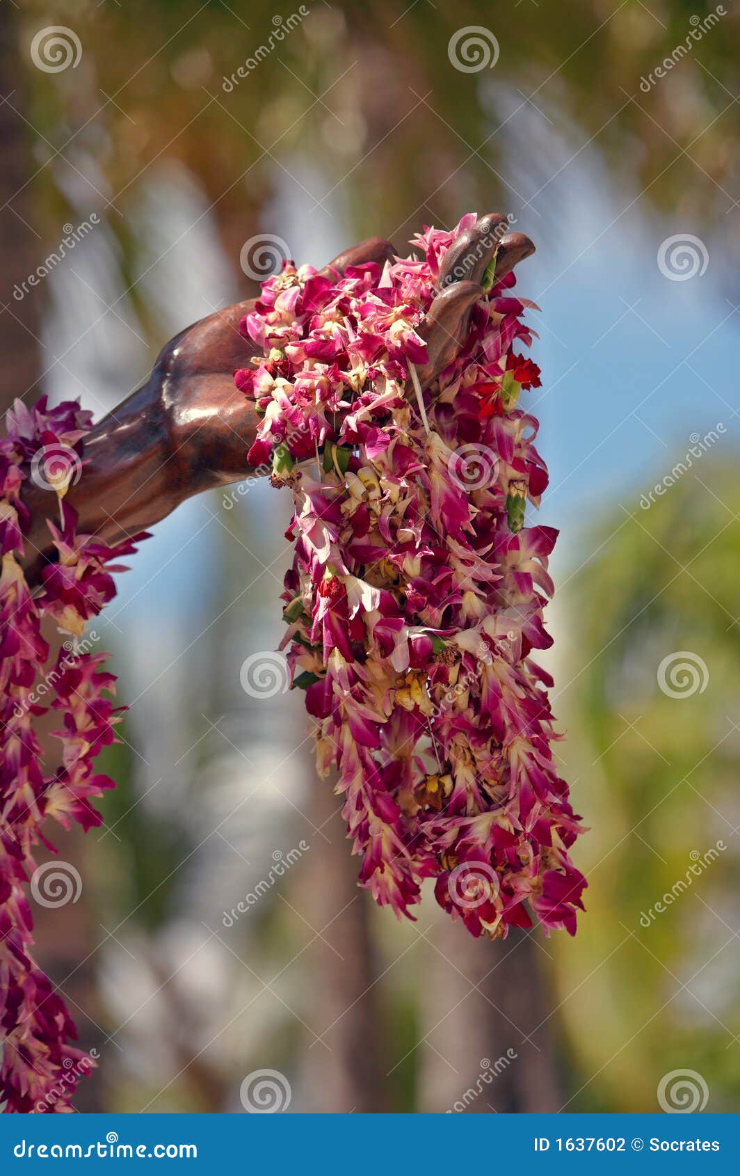 Aloha stock photo. Image of figure, oahu, waikiki, bold - 1637602
