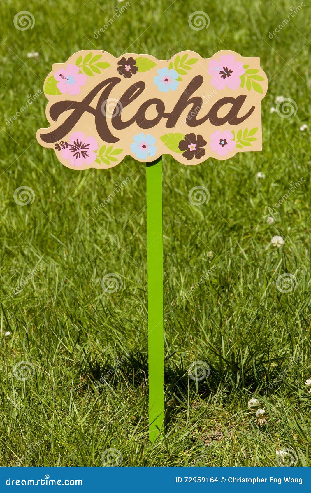 Aloha stock photo. Image of hawaiian, lawn, aloha, tropical - 72959164
