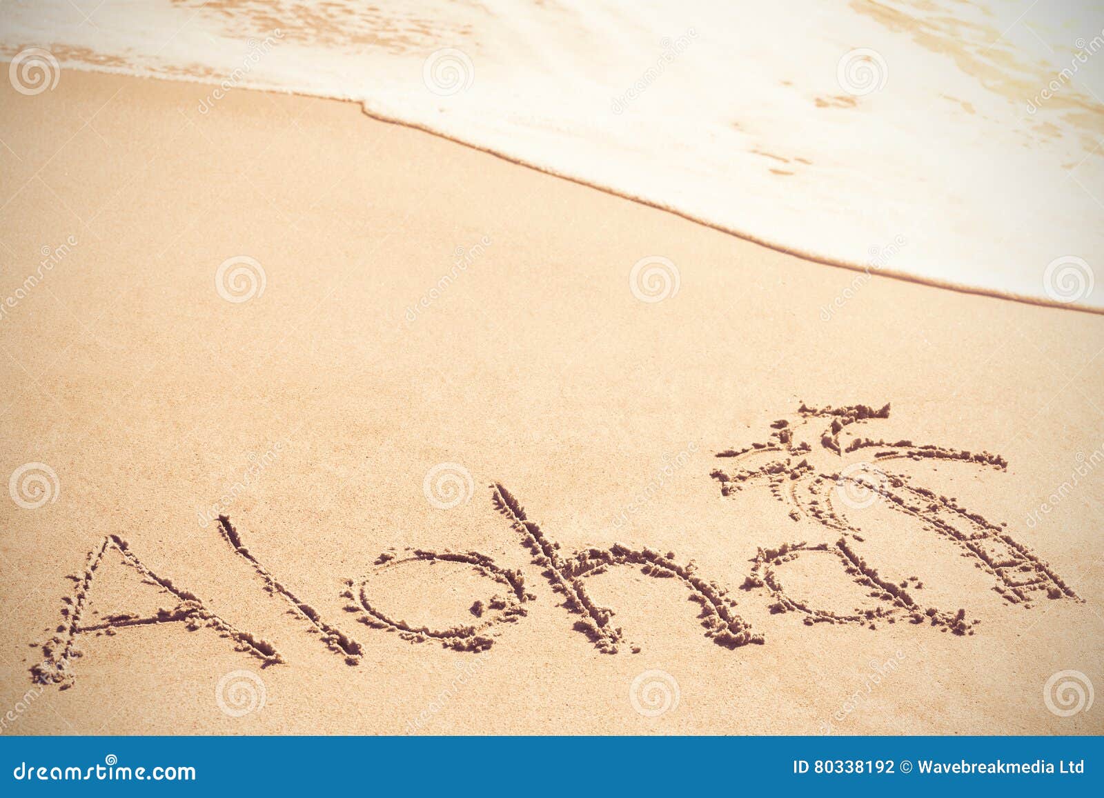 Aloha Text Written on Sand with Palm Tree Stock Photo - Image of ...