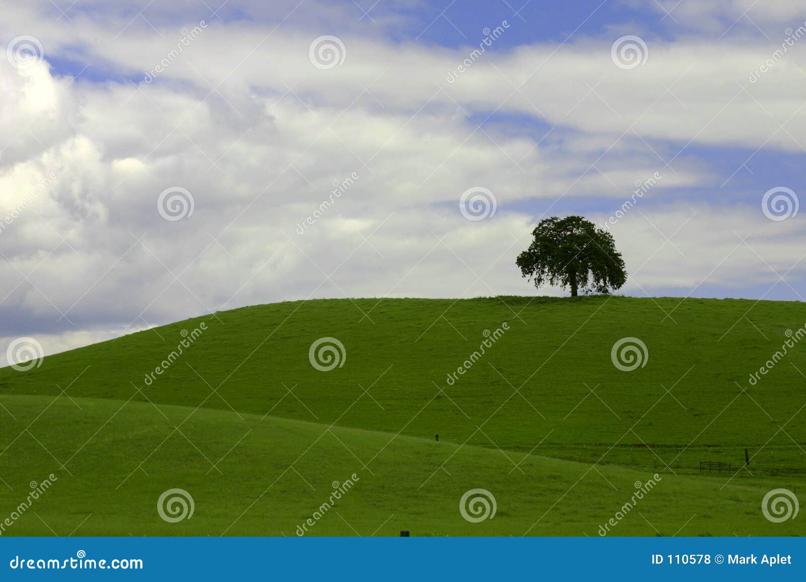 Alone stock photo. Image of season, country, simple, minimal - 110578