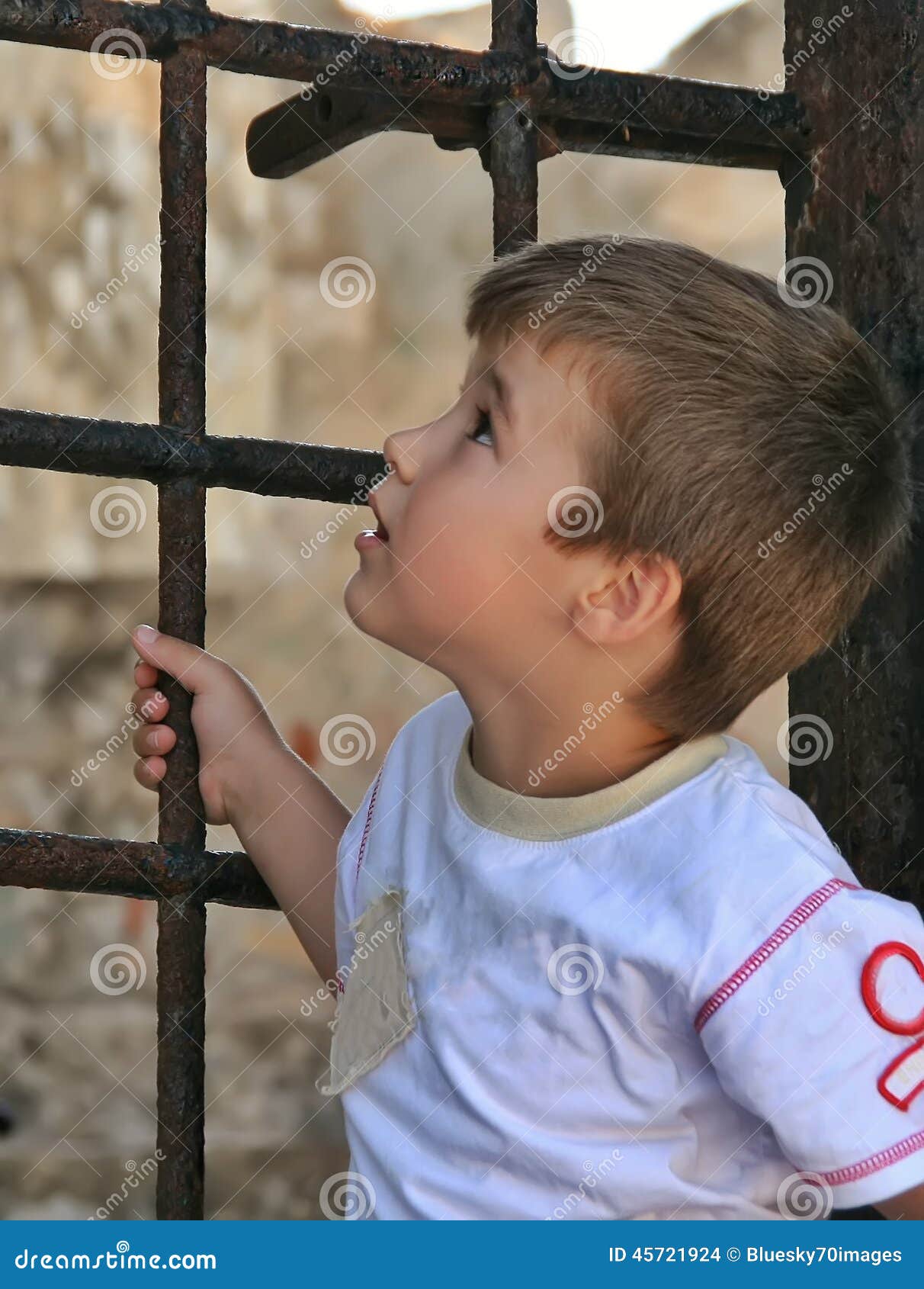 Alone behind the gate stock photo. Image of fence, brown - 45721924