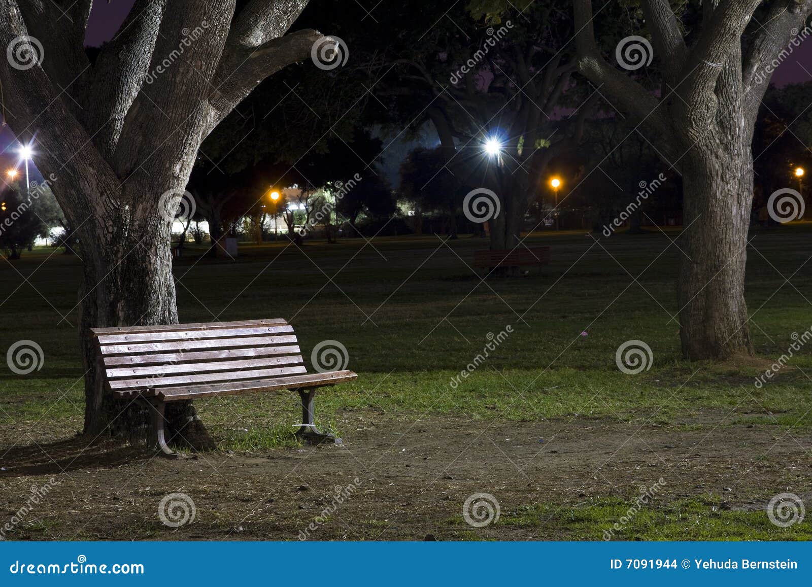 Alone Bench stock photo. Image of deserted, garden, grass - 7091944