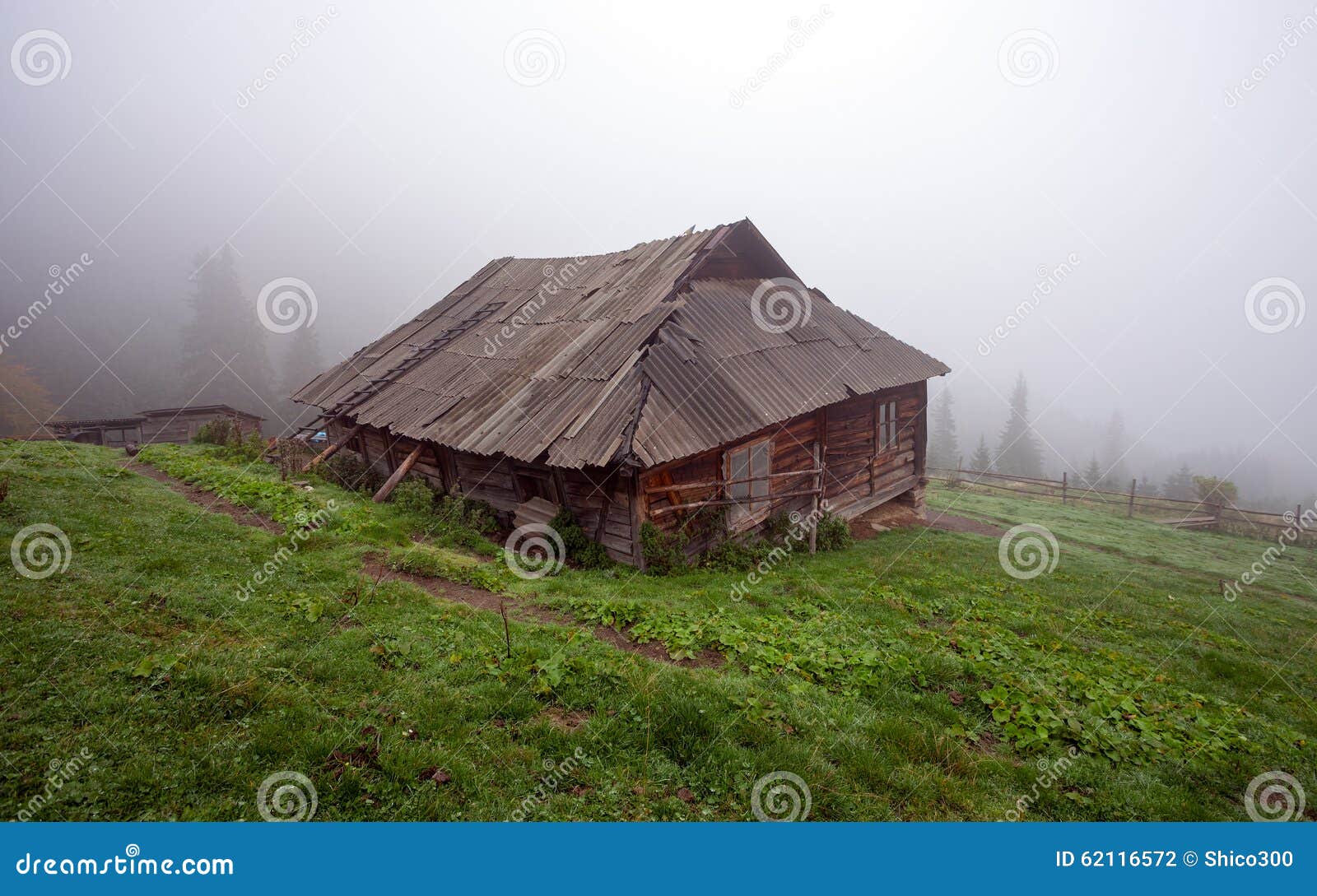 Alone cabin in the woods stock photo. Image of summer - 62116572
