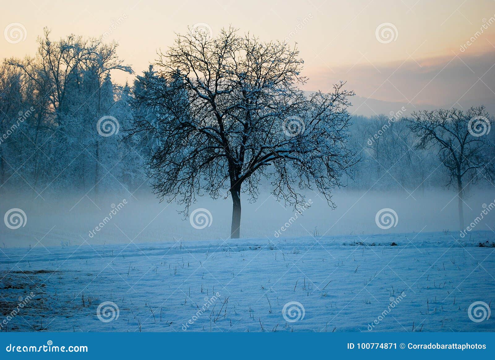 Alone in the cold stock image. Image of arrives, latvia - 100774871