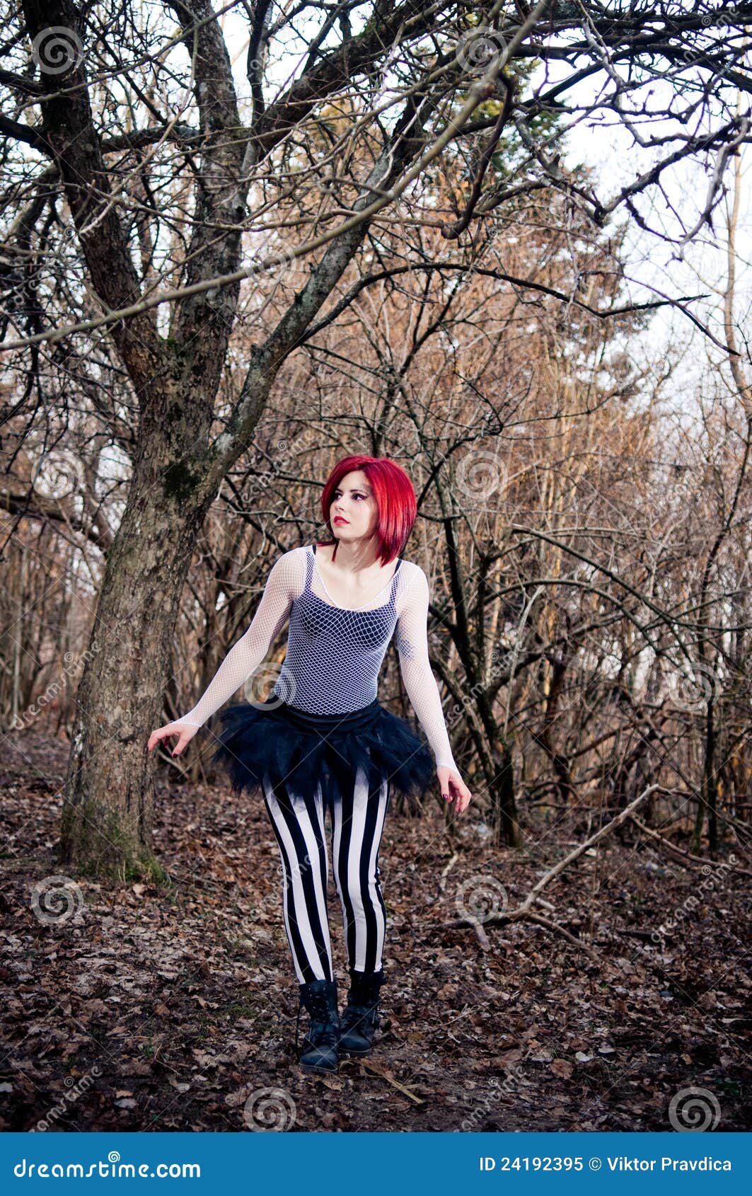 Alone in the dark forest stock image. Image of cute, beautiful - 24192395