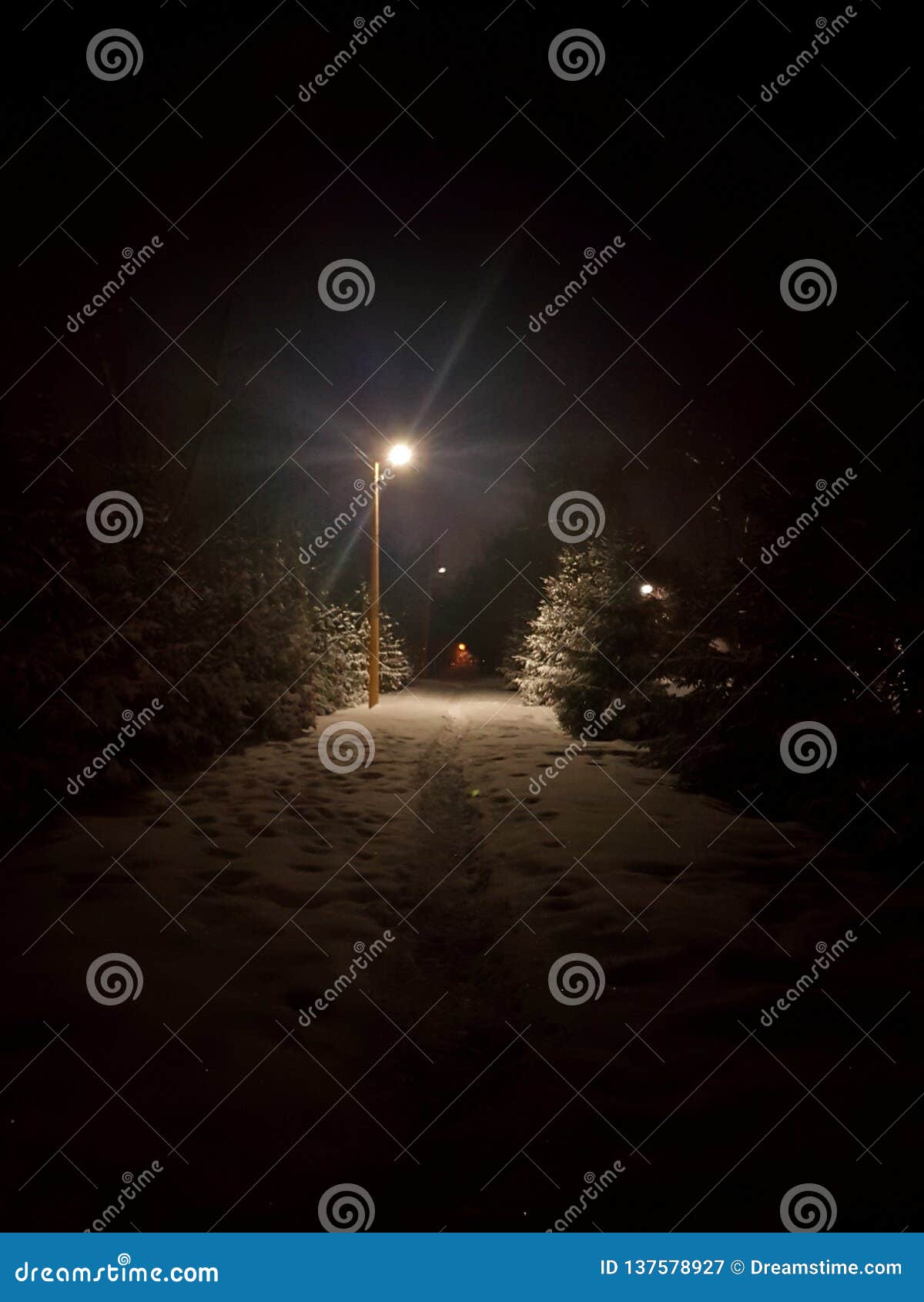 Alone in the dark stock image. Image of cold, alone - 137578927