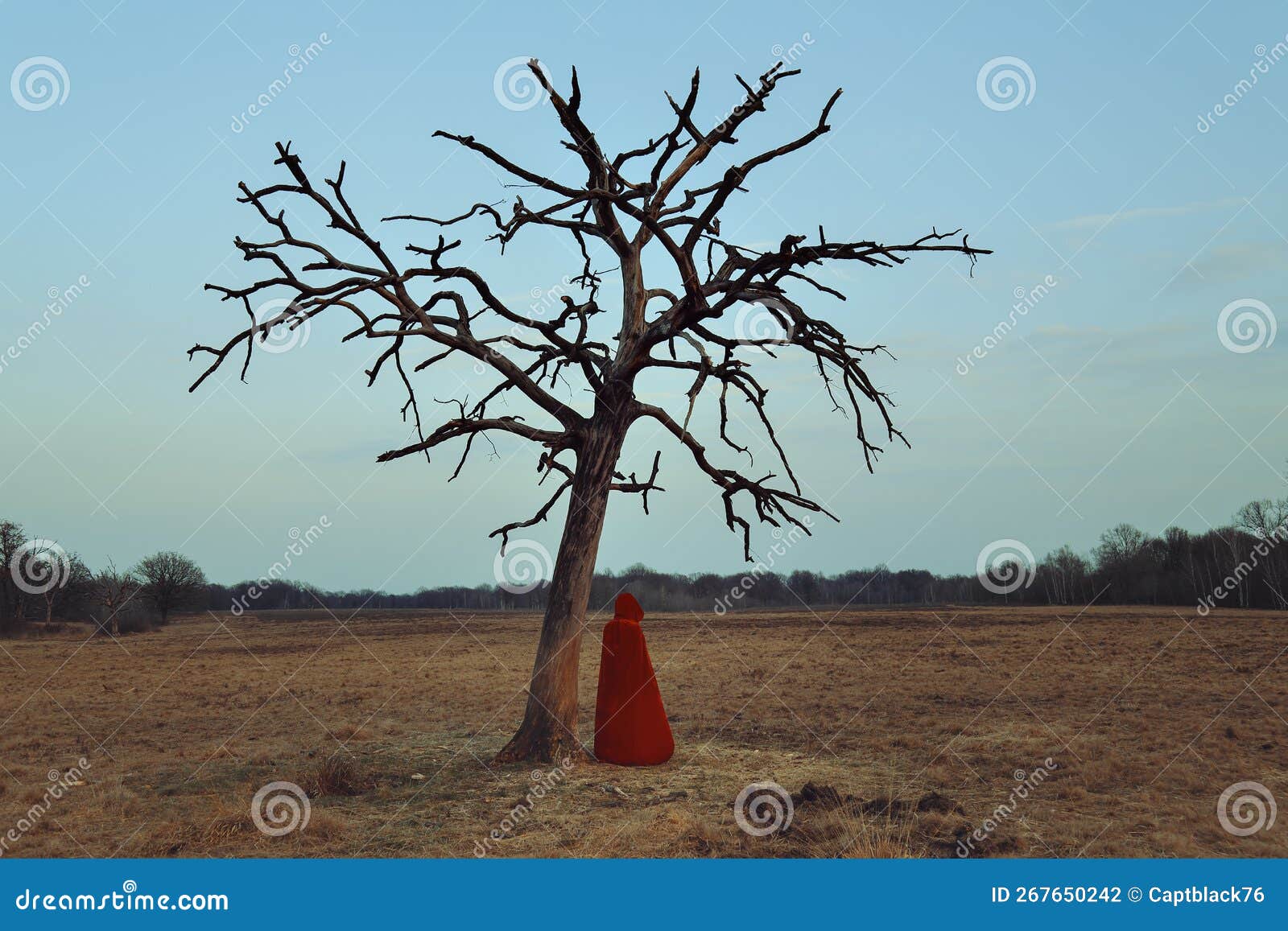Alone in a desolate land stock photo. Image of robe - 267650242