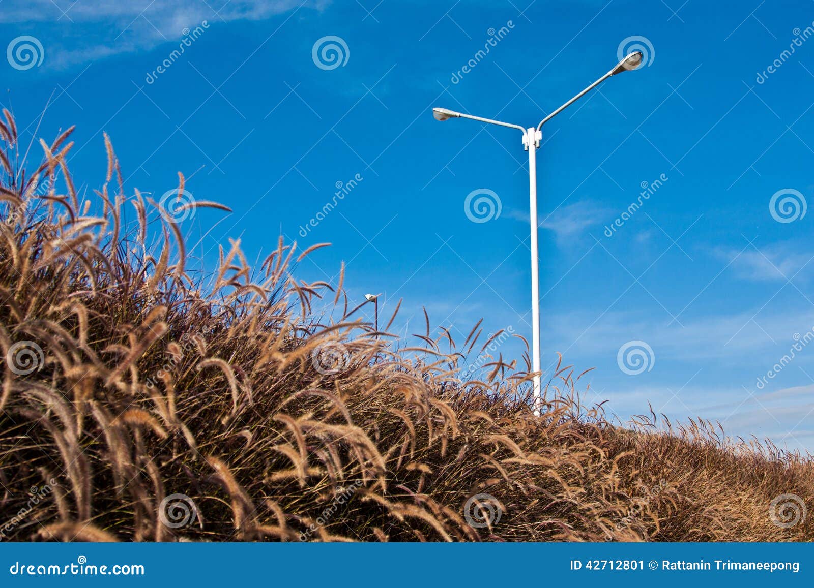 Light Pole with a Blue Sky Background Stock Image - Image of background ...