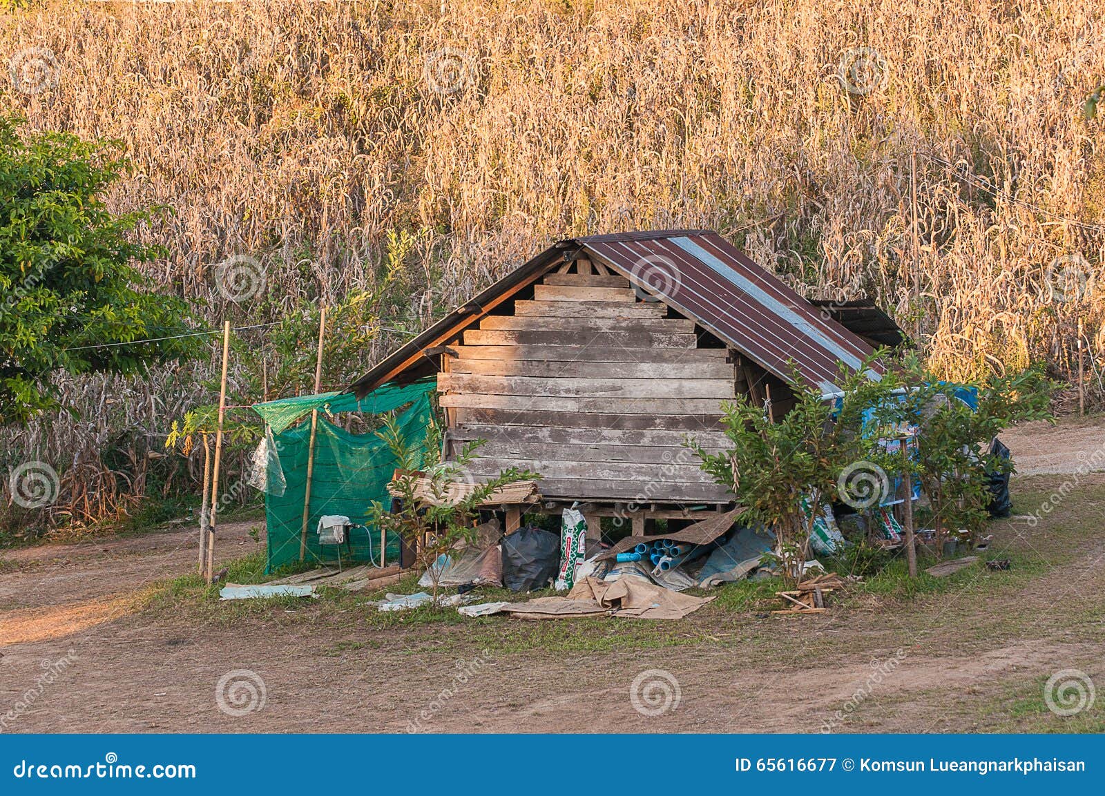 Alone hut on the hill stock image. Image of travel, thailand - 65616677