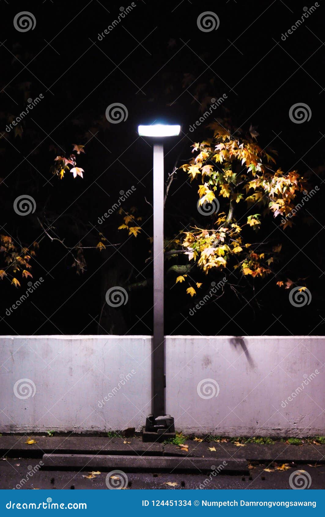 An Alone Lamp Post at a Side Path and Maple Leaves. Stock Photo - Image ...