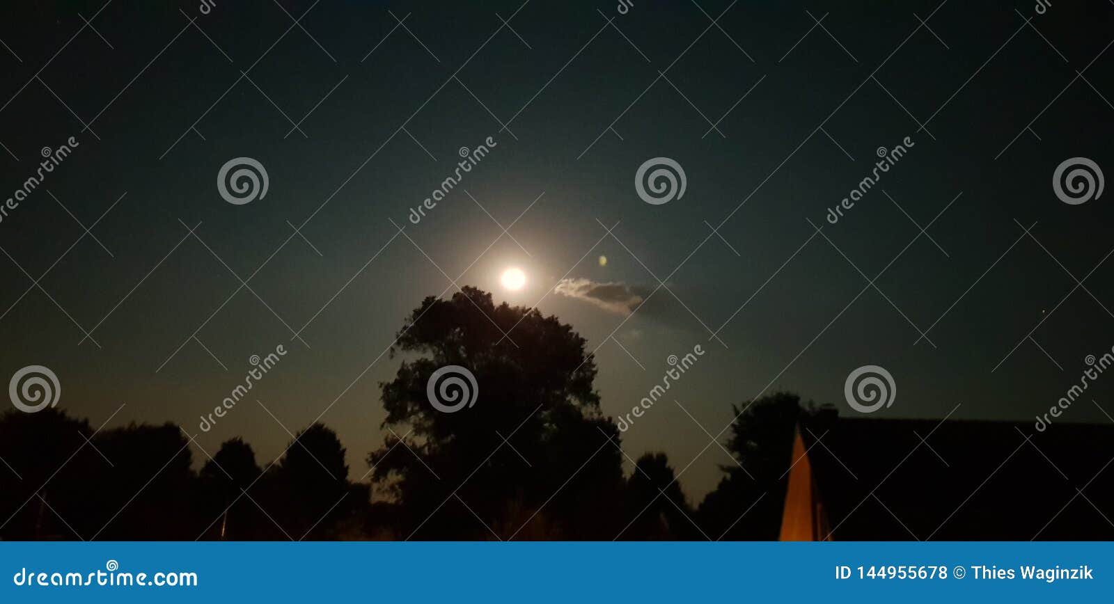 The alone Moon stock photo. Image of night, tree, lunar - 144955678