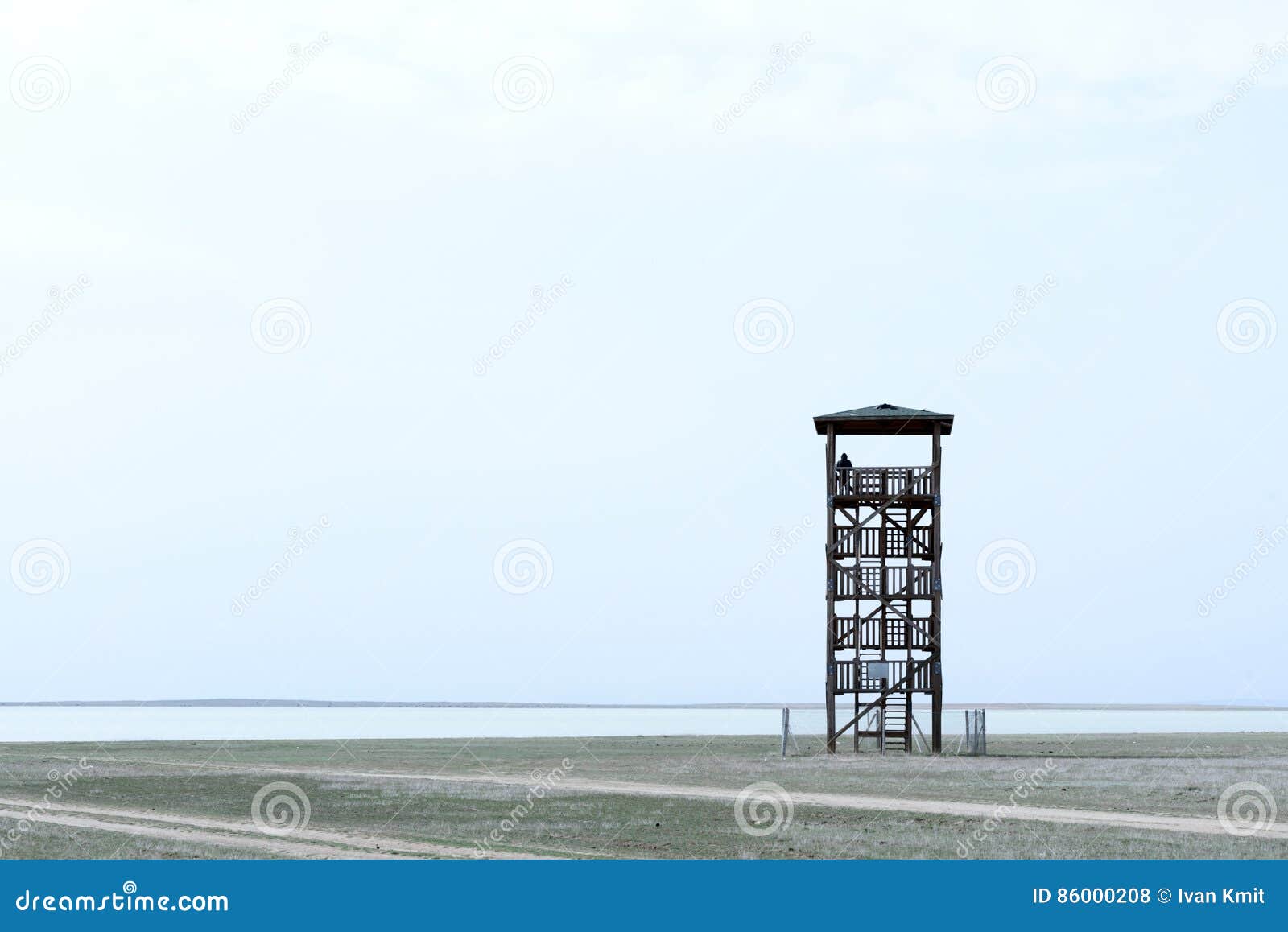 Alone observant stock photo. Image of tower, alone, people - 86000208