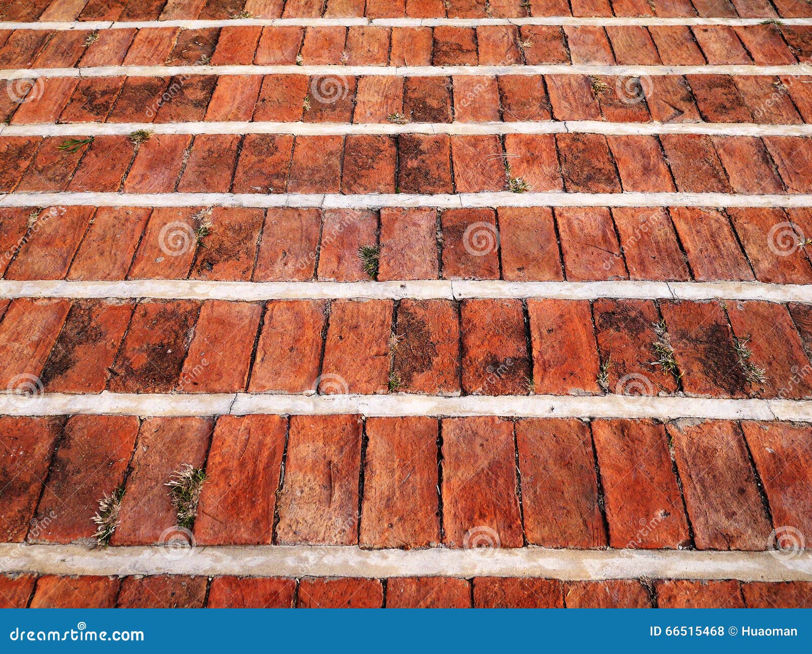 Alone on old brick walkway stock photo. Image of sidewalk - 66515468