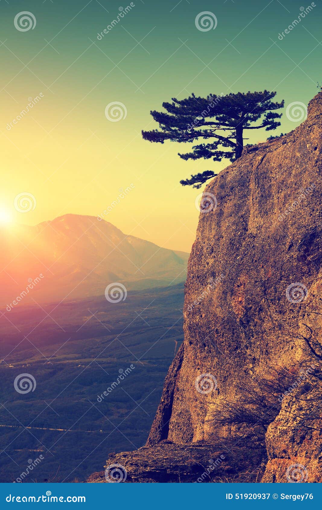Alone Pine Tree on the Edge of Rock Stock Image - Image of snow, clouds ...