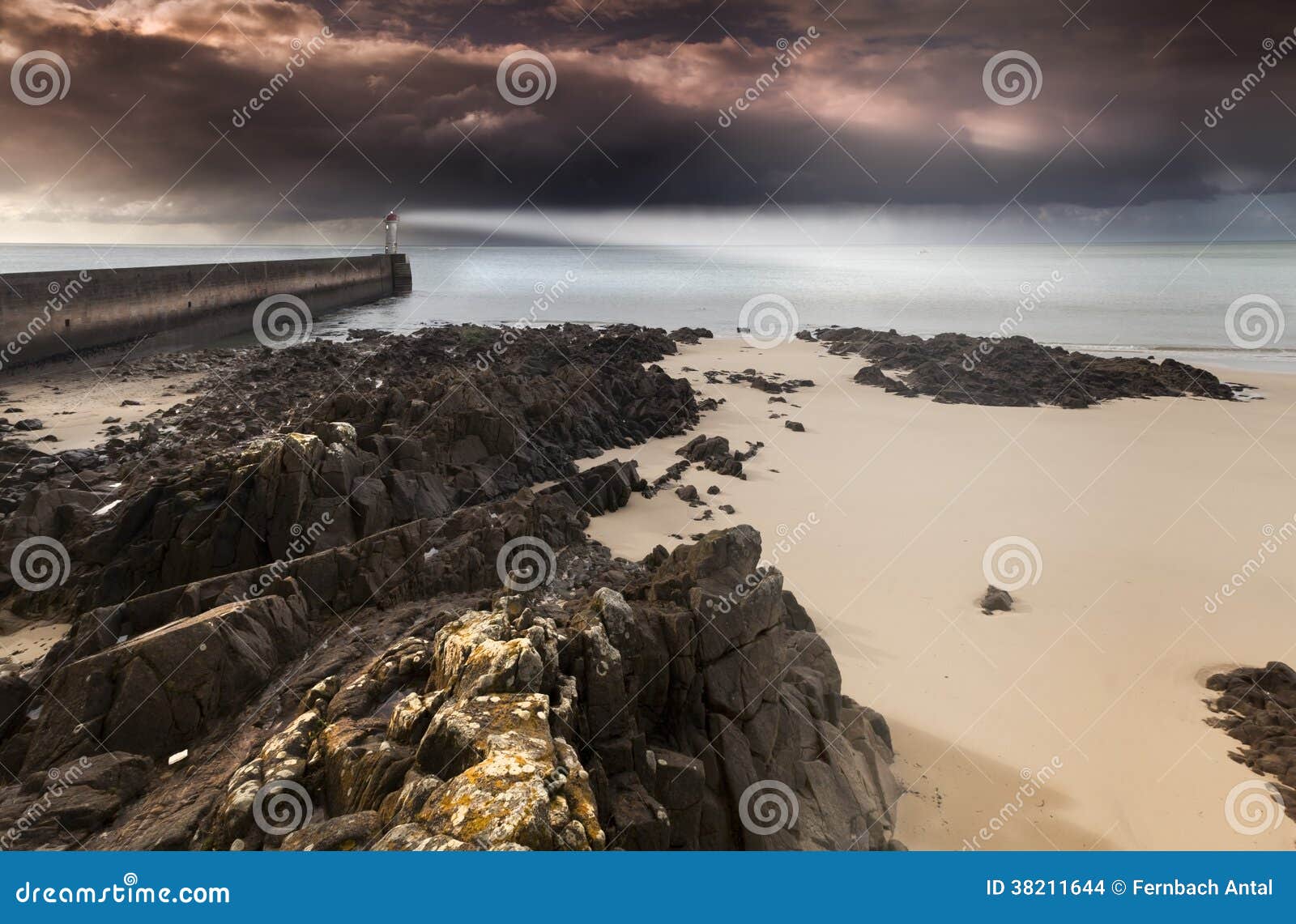Alone in the storm stock photo. Image of ragged, birds - 38211644