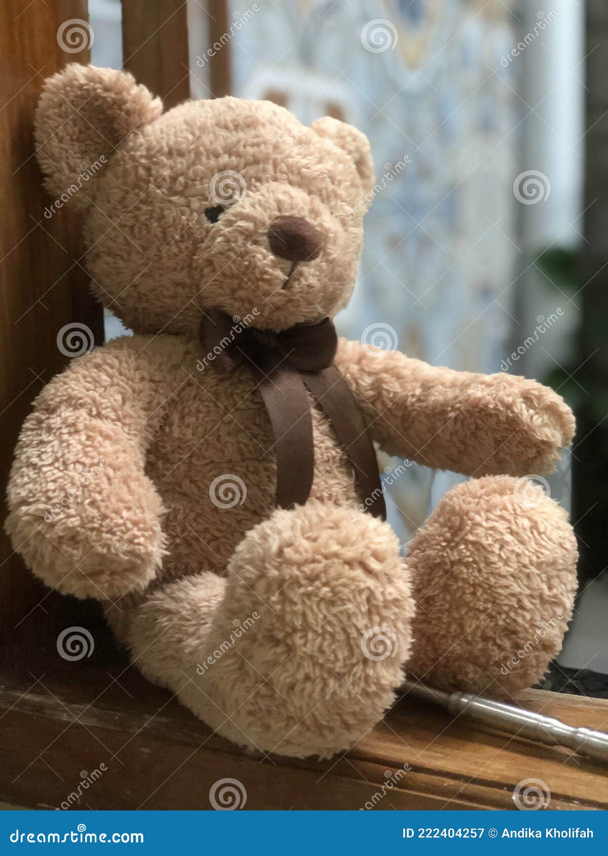 Alone stock image. Image of teddy, alone, cute, bear - 222404257