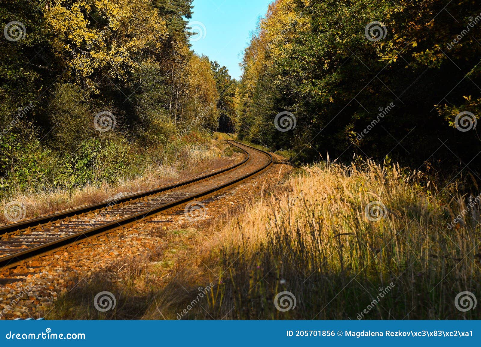 Alone Train Rail Turned in the Middle of Forest in Autumns Countryside ...