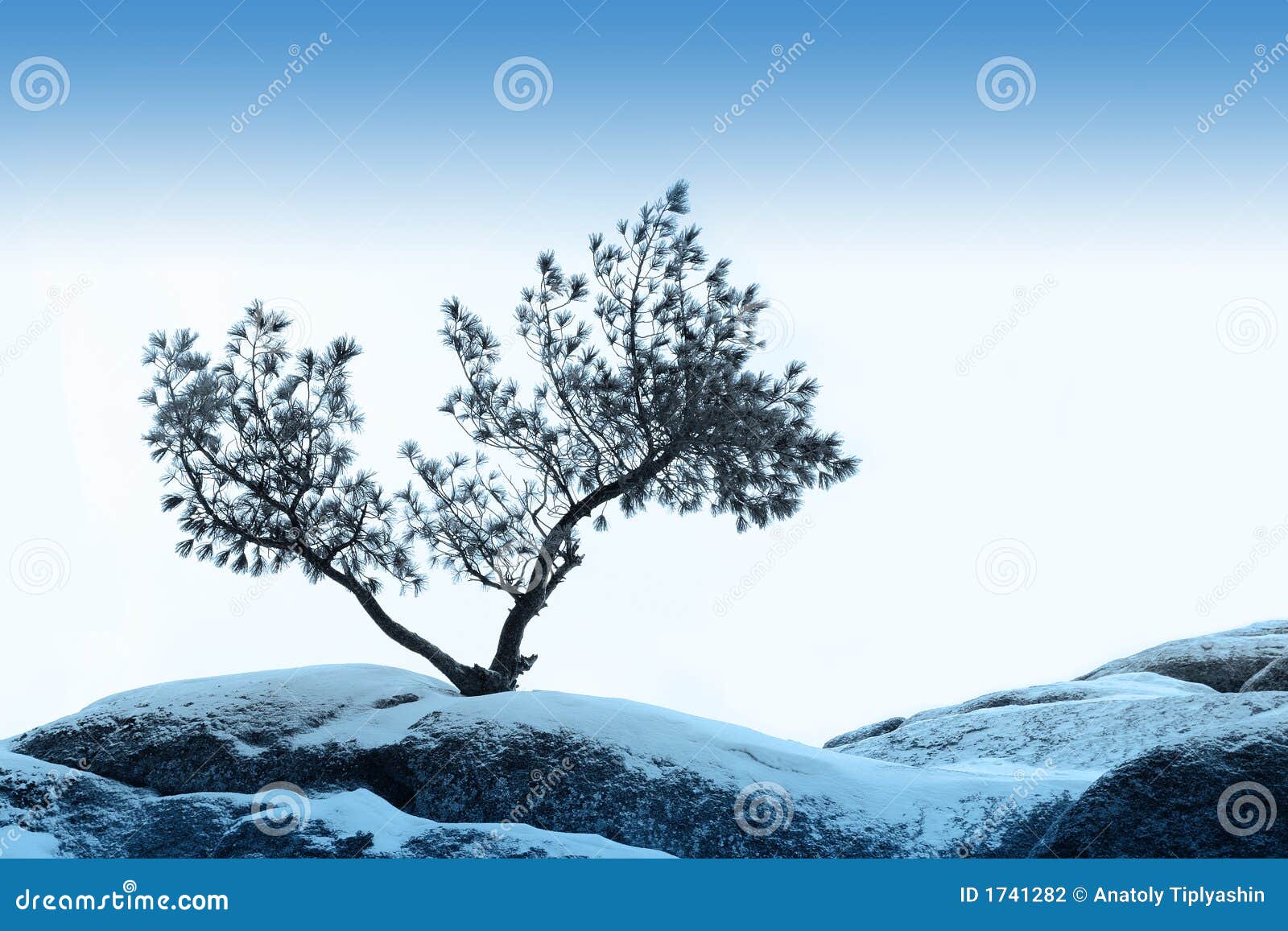 319 Alone Stone Block Stock Photos - Free & Royalty-Free Stock Photos ...