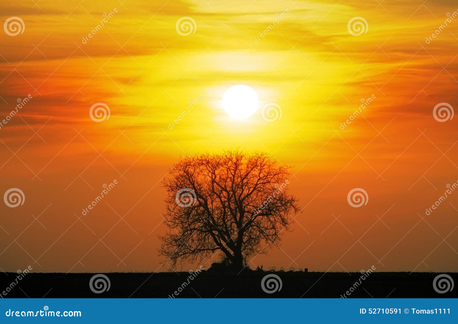 Alone Tree on Meadow at Sunset with Sun Stock Image - Image of autumn ...