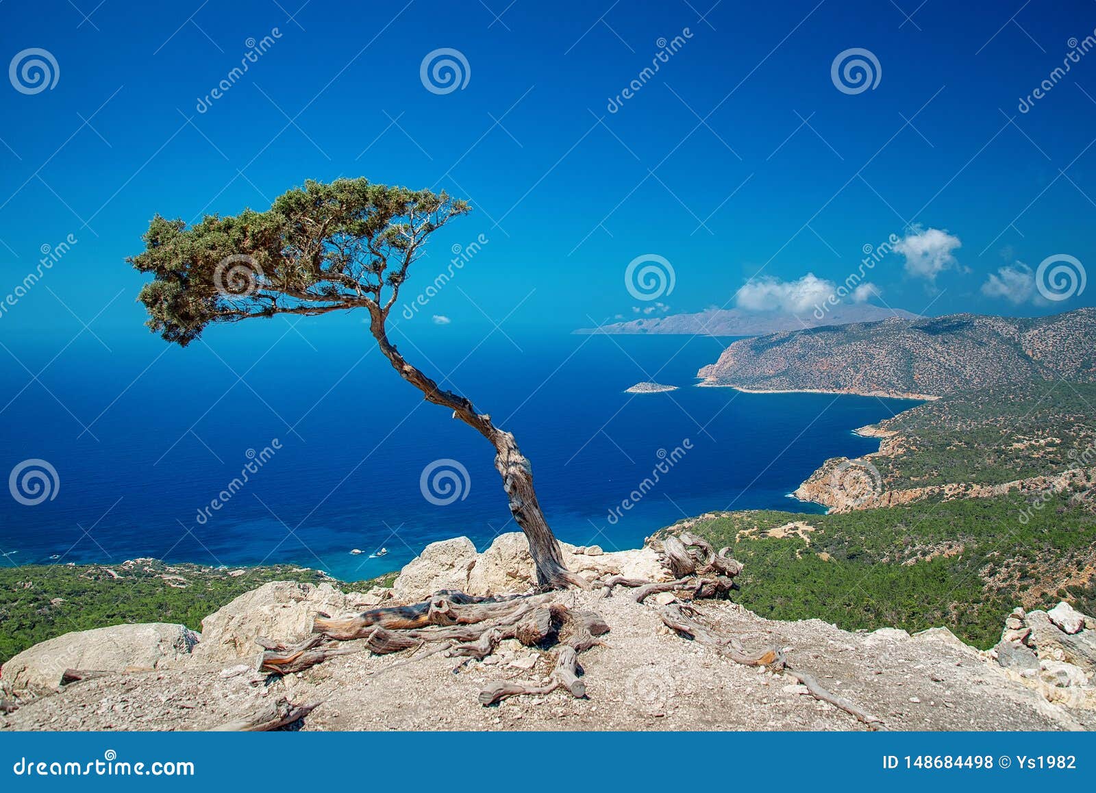 Alone Tree on a Monolithos Castle Cliff Stock Photo - Image of rhodes ...