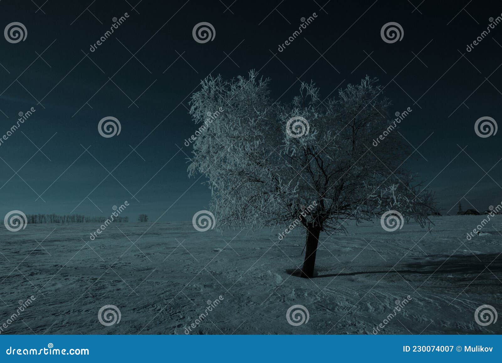 Alone Tree and Moon in Night Stock Image - Image of tranquil, snow ...