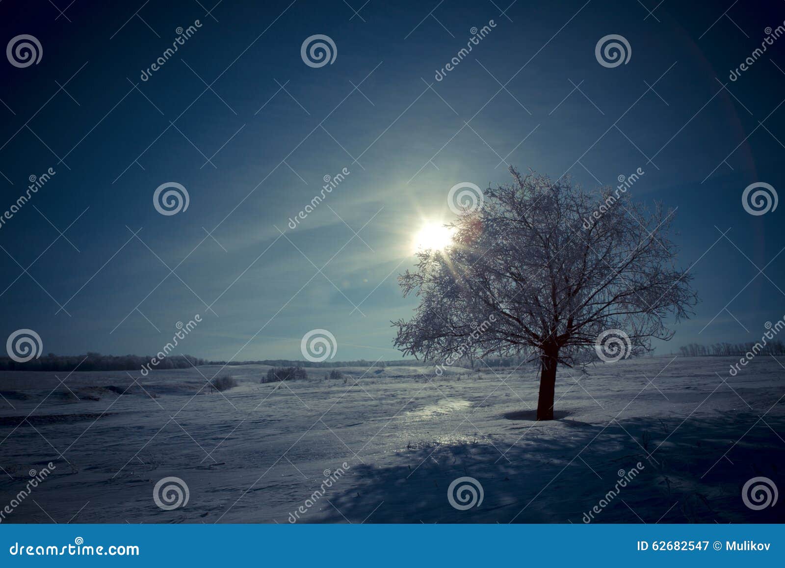 Alone Tree and Moon in Night Stock Image - Image of serene, abandoned ...