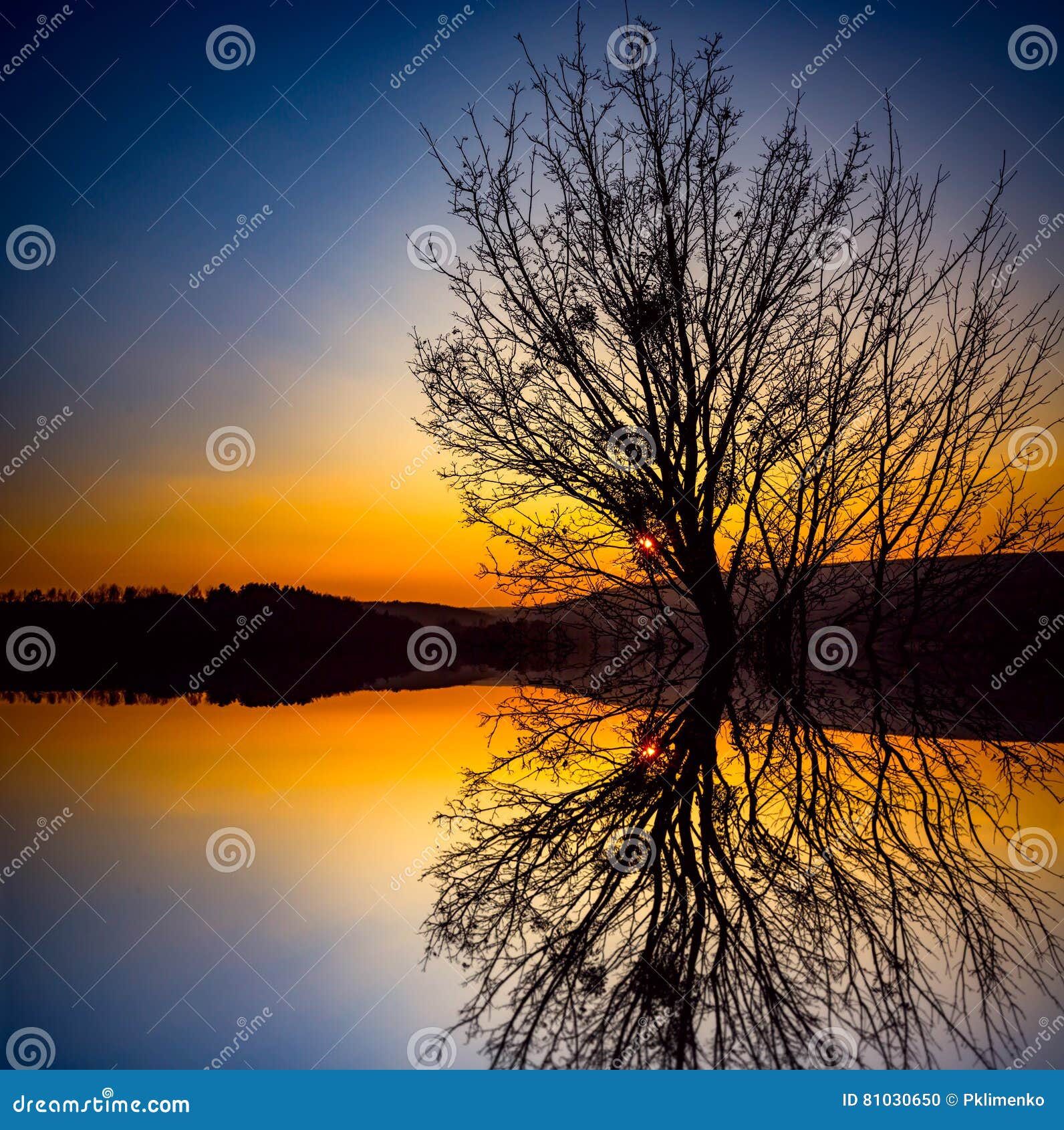 Alone tree near lake stock photo. Image of sunrise, color - 81030650