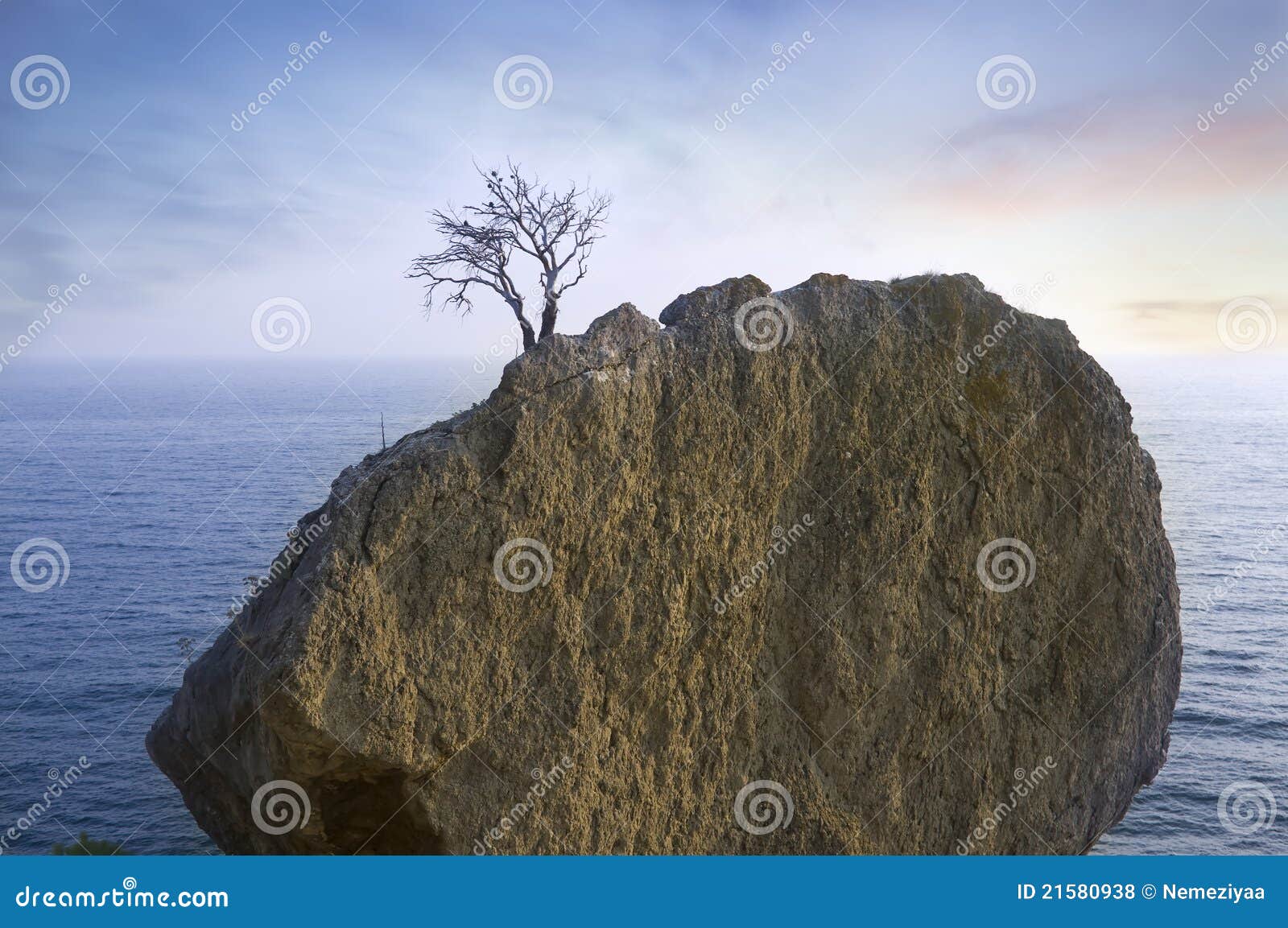 Alone tree on rock in sea stock photo. Image of wall - 21580938