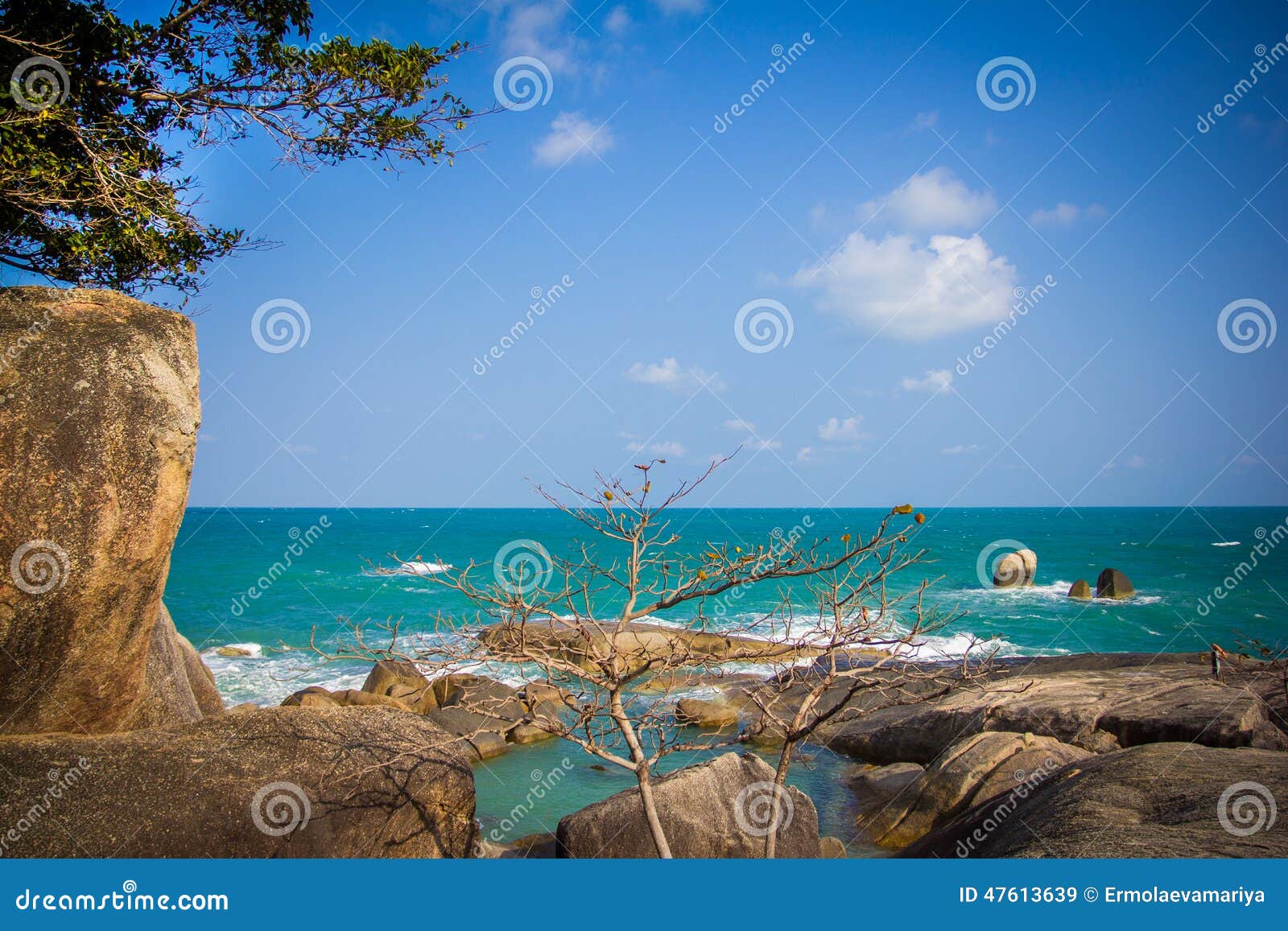 Alone Tree in Rocks on the Beach Stock Image - Image of grass, nature ...