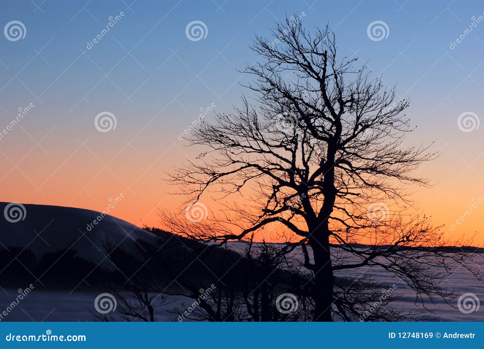 Alone tree on the sunset stock image. Image of sunrise - 12748169