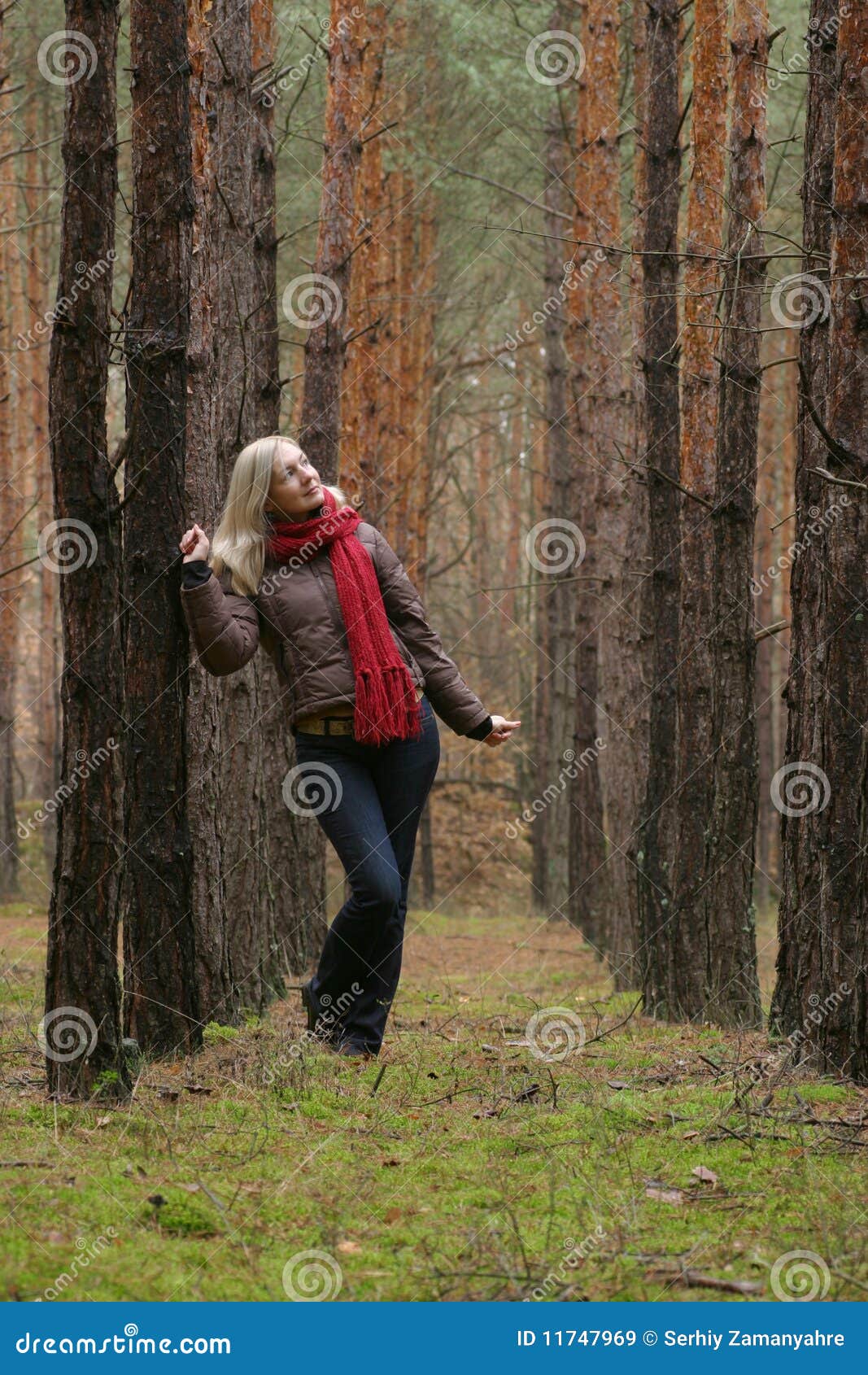Alone women forest stock image. Image of person, adult - 11747969