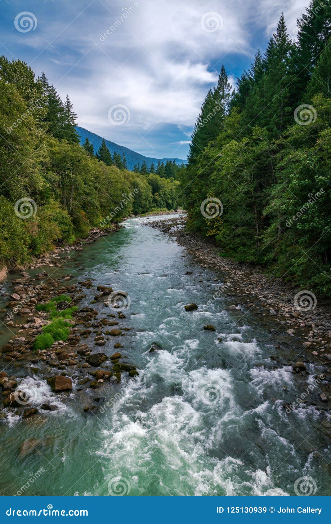 Along the Cispus River stock image. Image of cascade - 125130939