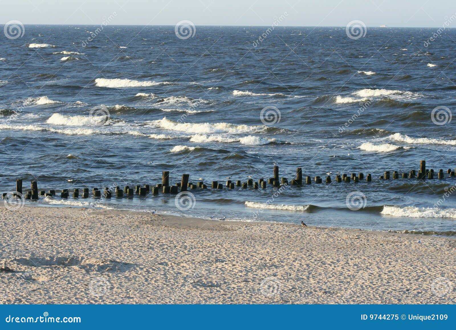 Along the coast stock image. Image of paradise, scenic - 9744275