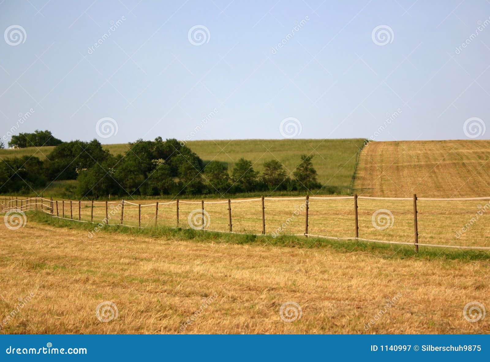 Along the paddock stock image. Image of open, edge, hill - 1140997