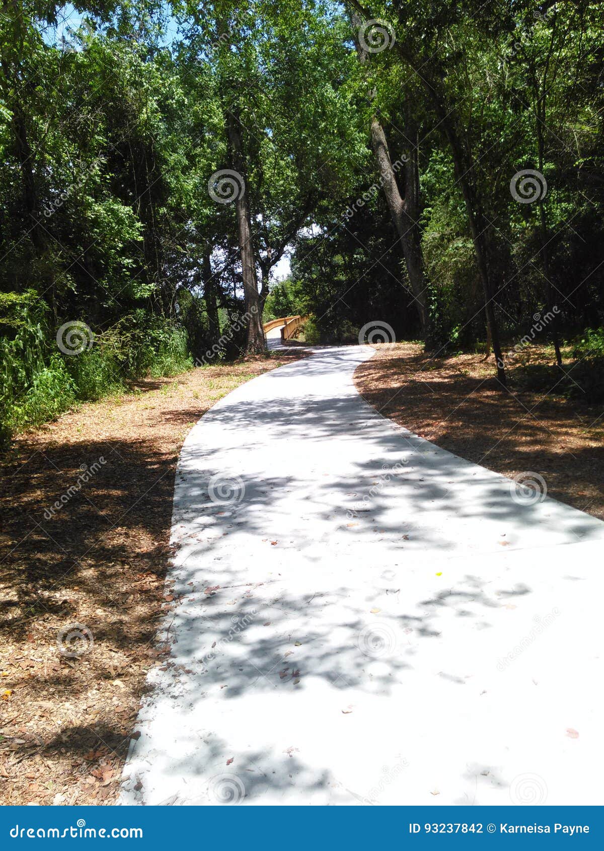 Along the Path stock photo. Image of pretty, park, path - 93237842