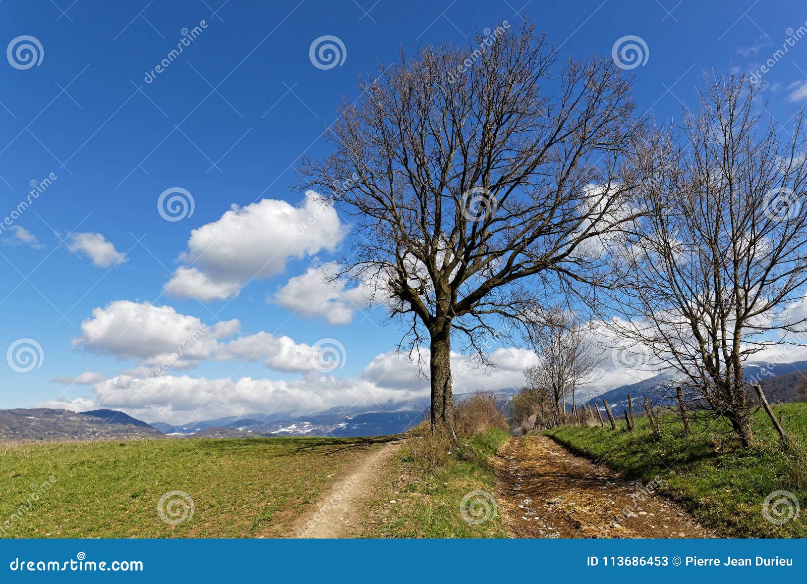 Along the Path that Leads To the Mountains Stock Image - Image of ...