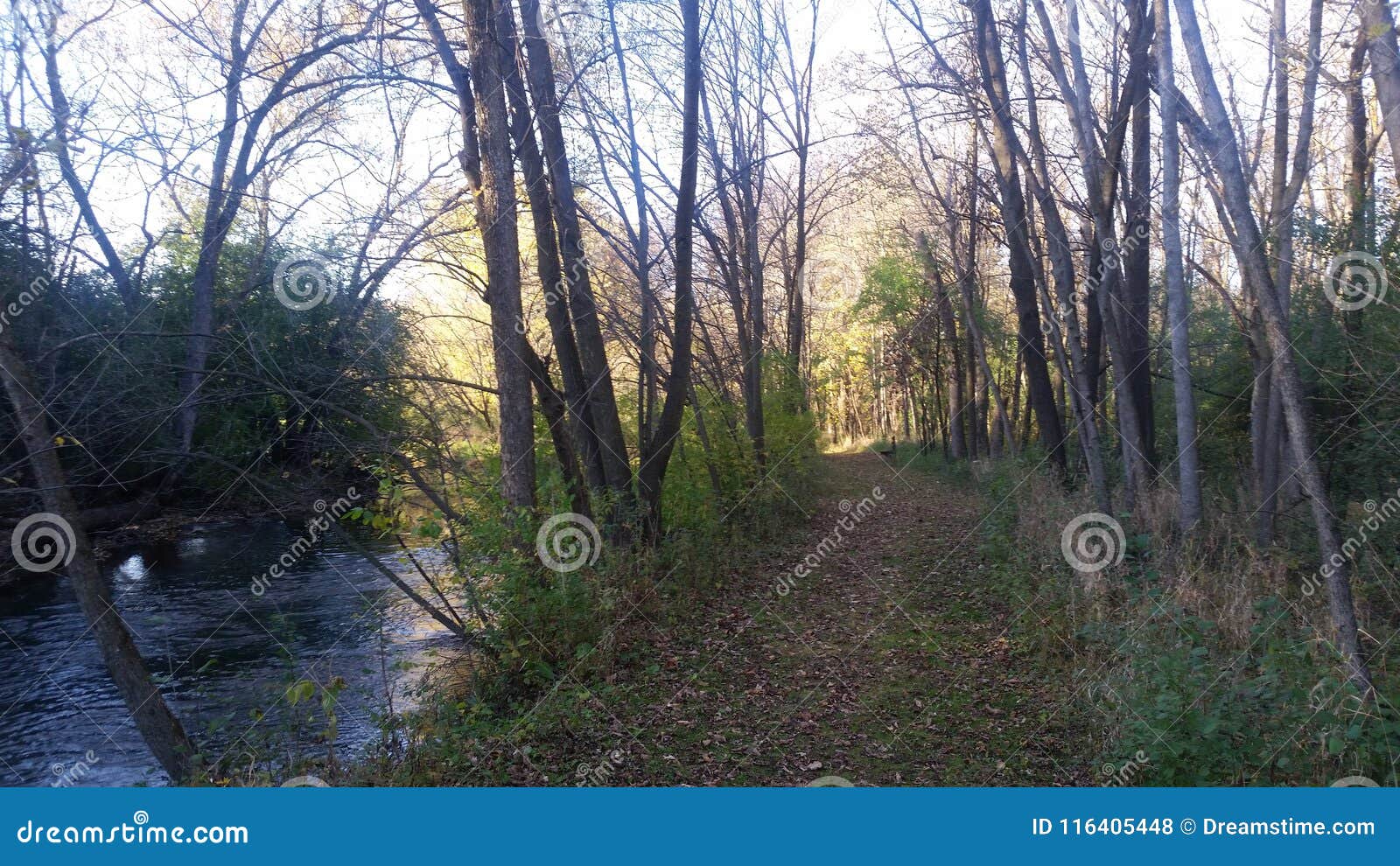 Along the sideway stock photo. Image of dakota, trail - 116405448