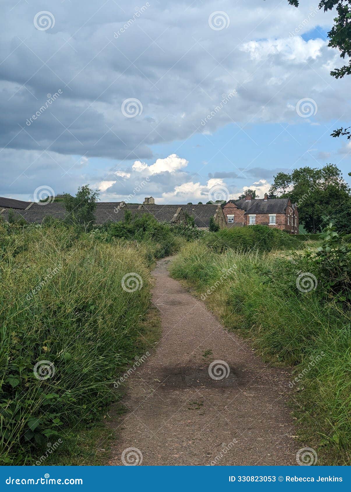 Along W Windy Pathway a Path Goes through Stock Image - Image of ...