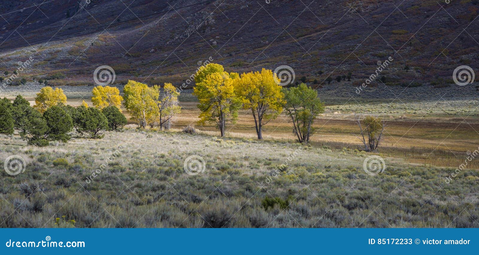 Alongside the road stock image. Image of colorado, trip - 85172233