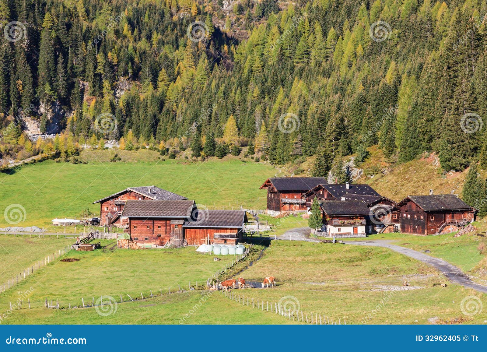 Alp farm stock image. Image of meadow, field, farm, nature - 32962405